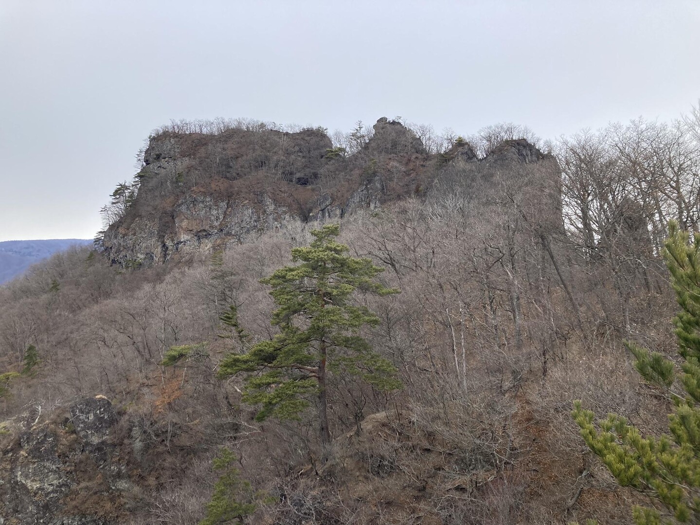 噂通りの山急山 / Cooさんの山急山の活動データ | YAMAP / ヤマップ