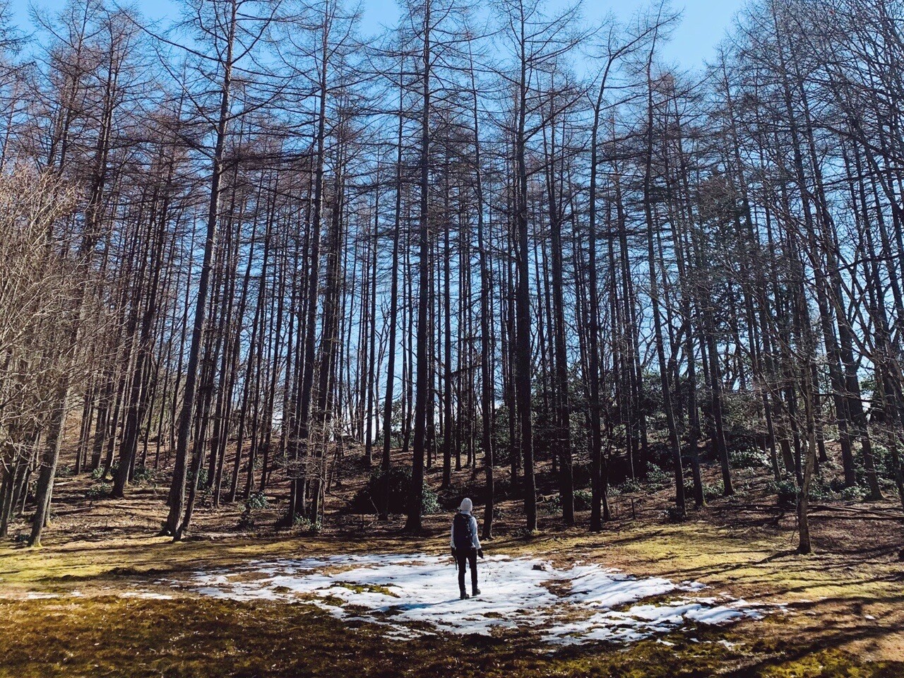 伝説の地ウノタワ 前武川岳・武川岳・大持山・横倉山・ウノタワ・天神山 / muramiさんの武甲山・伊豆ヶ岳・小持山の活動データ | YAMAP / ヤマップ
