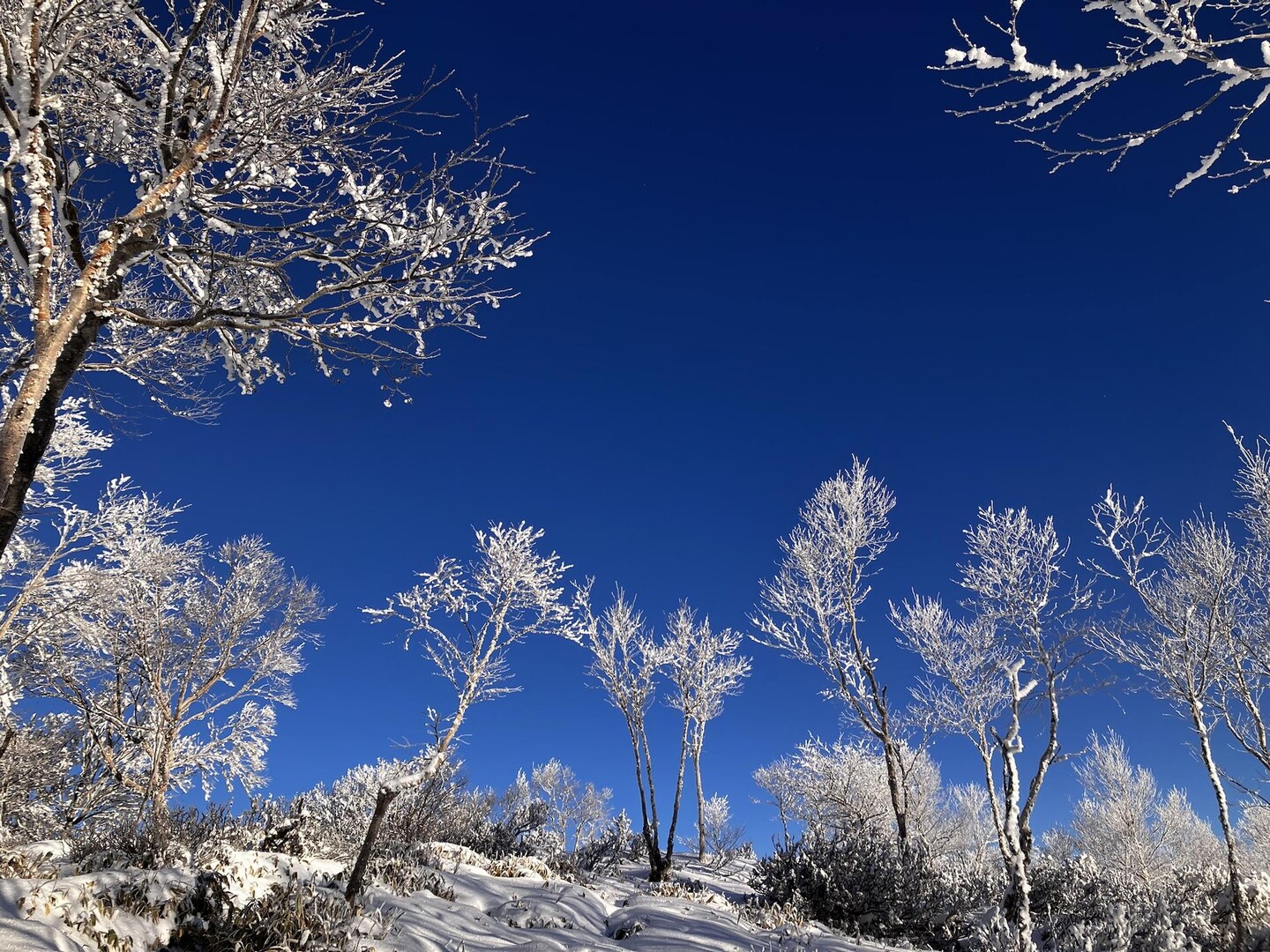 黒檜山（赤城山）・駒ヶ岳・篭山 / 727Kさんの赤城山・黒檜山・荒山の活動データ | YAMAP / ヤマップ