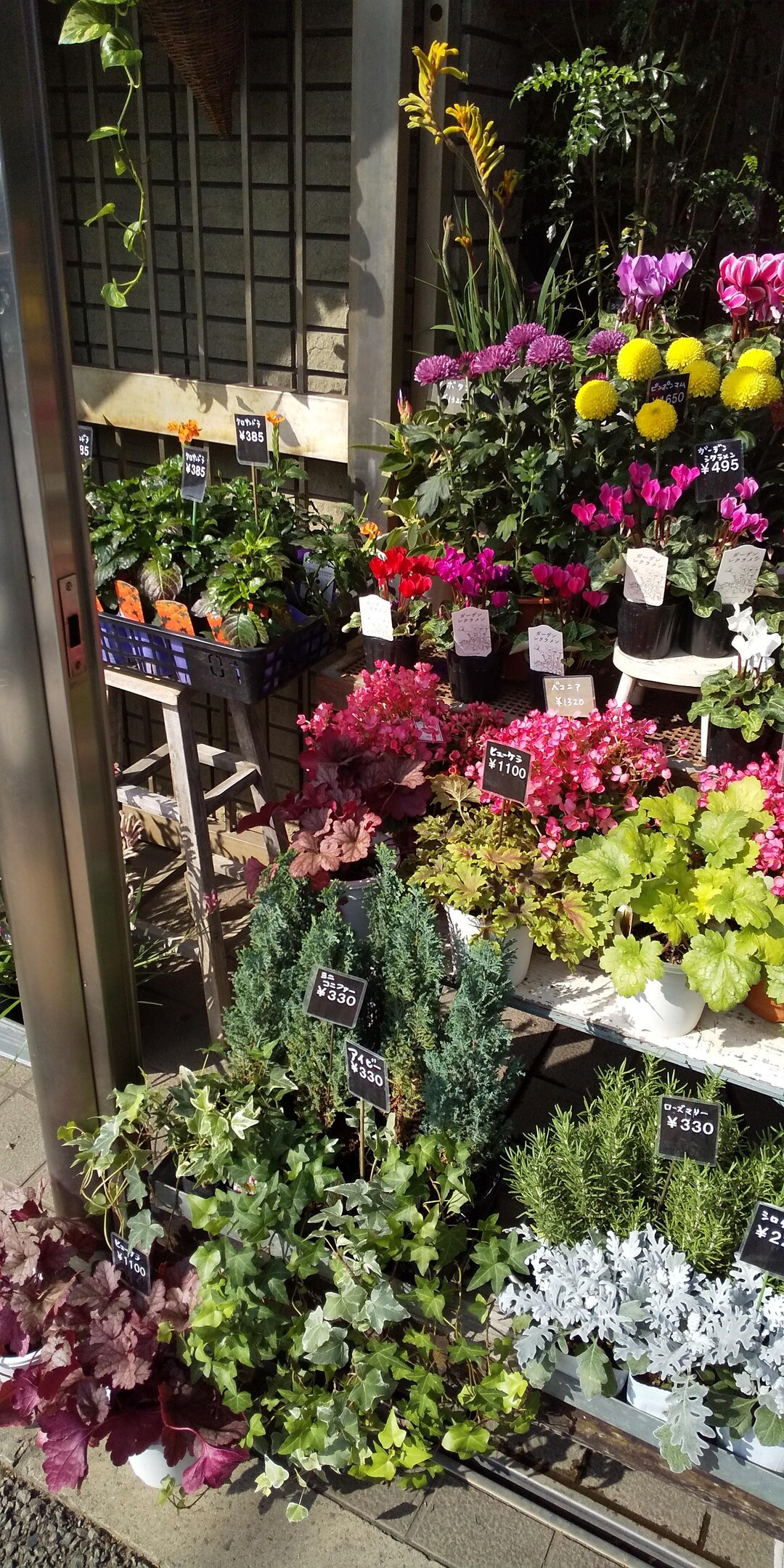 鎌倉アルプスで鎌倉駅に向かう途中に雑貨屋... / スイさんのモーメント | YAMAP / ヤマップ