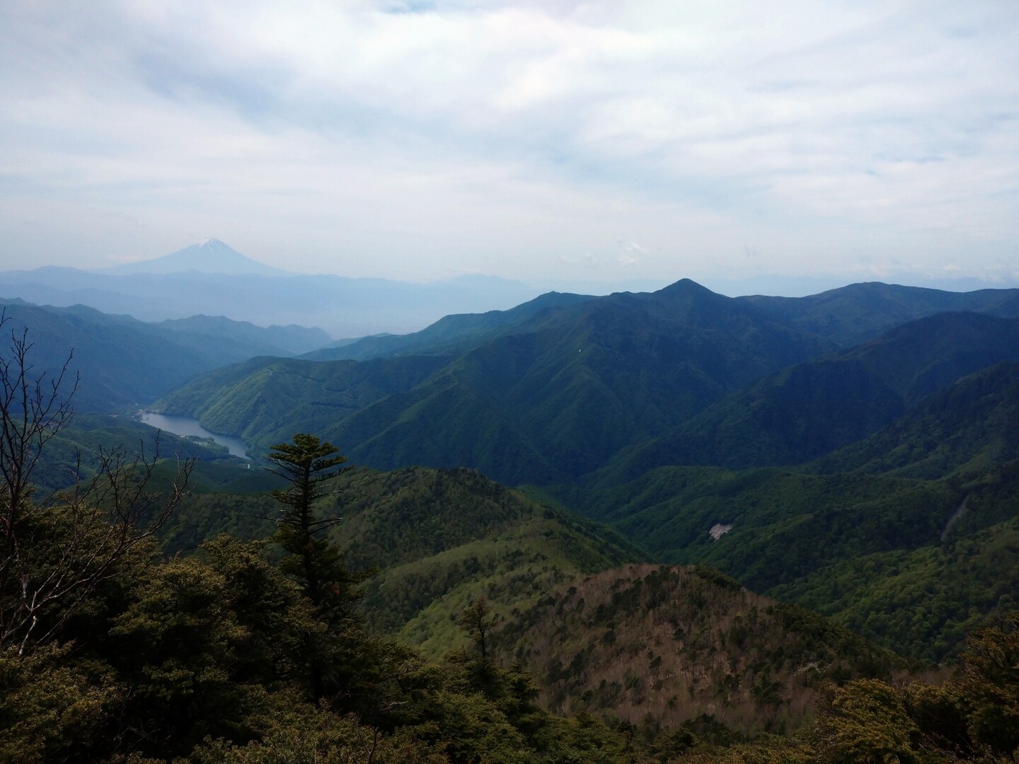 hachi-mituさんの投稿したフィールドメモ | YAMAP / ヤマップ