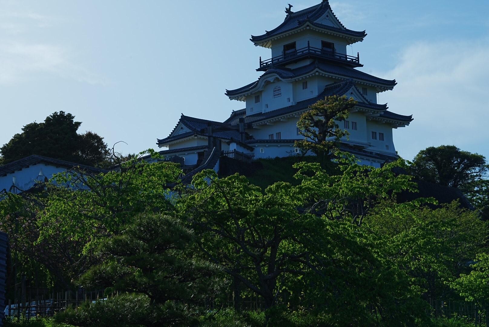 掛川城ともう一つの掛川城。お城の広場に名... / リタイアSUPさんのモーメント | YAMAP / ヤマップ