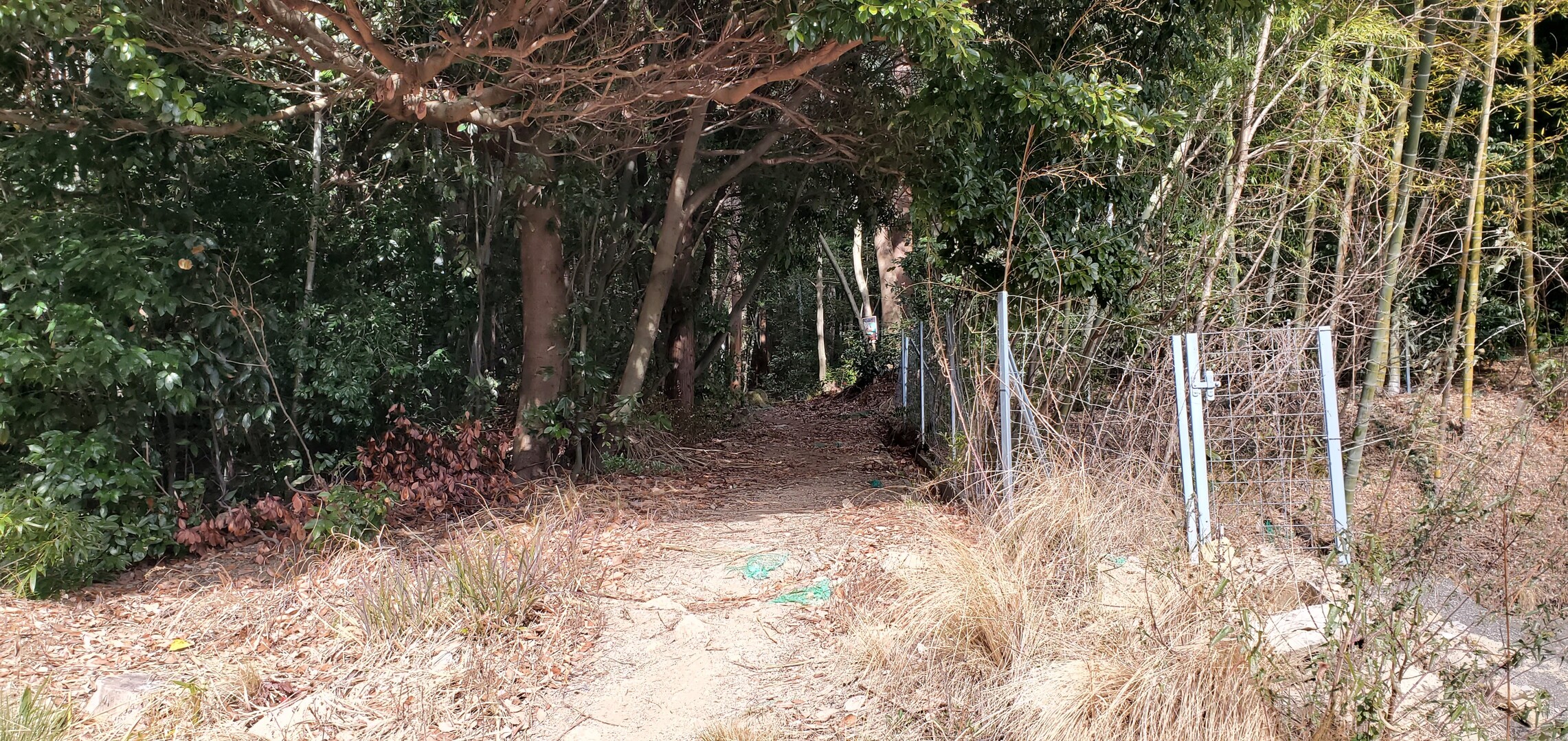 NOMさんの投稿したフィールドメモ | YAMAP / ヤマップ