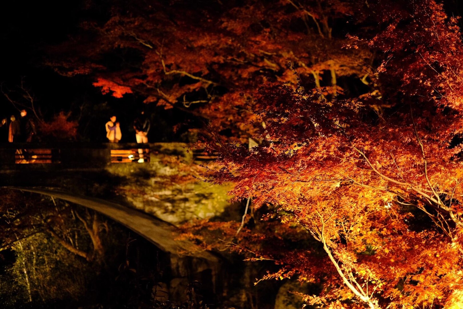 週末、河内渓谷へ紅葉を見に行ってきました... / naruさんのモーメント | YAMAP / ヤマップ