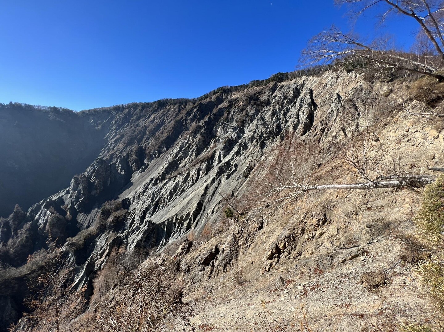 七面山 / いからしさんの七面山・身延山の活動データ | YAMAP / ヤマップ