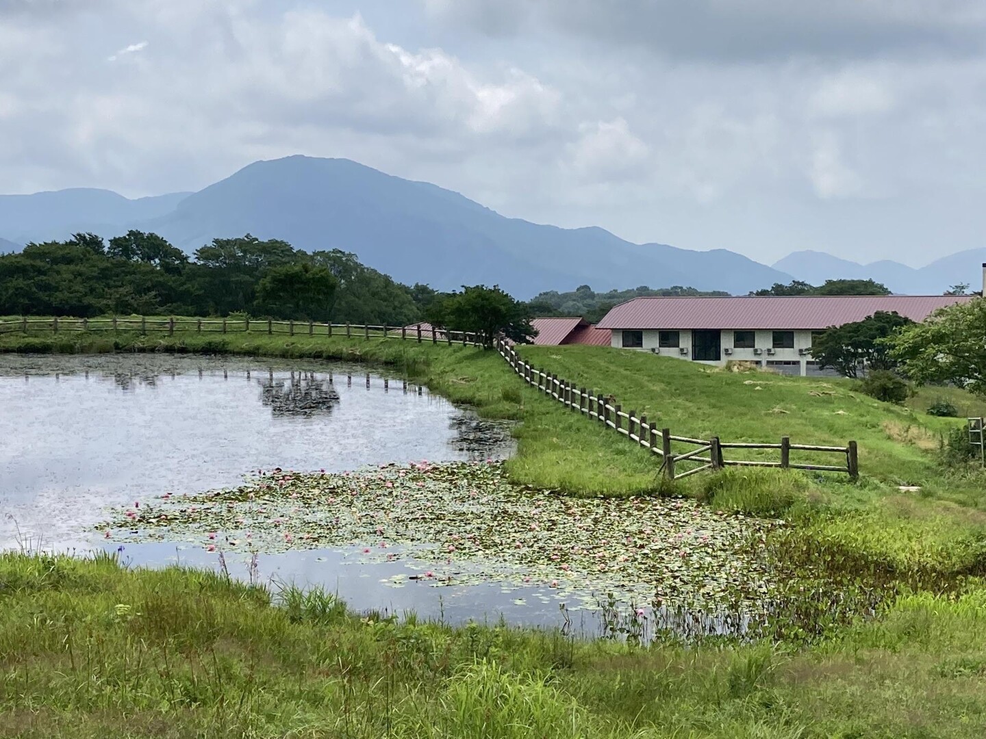 吾妻山 / snor_manさんの比婆山・立烏帽子山・吾妻山の活動データ | YAMAP / ヤマップ