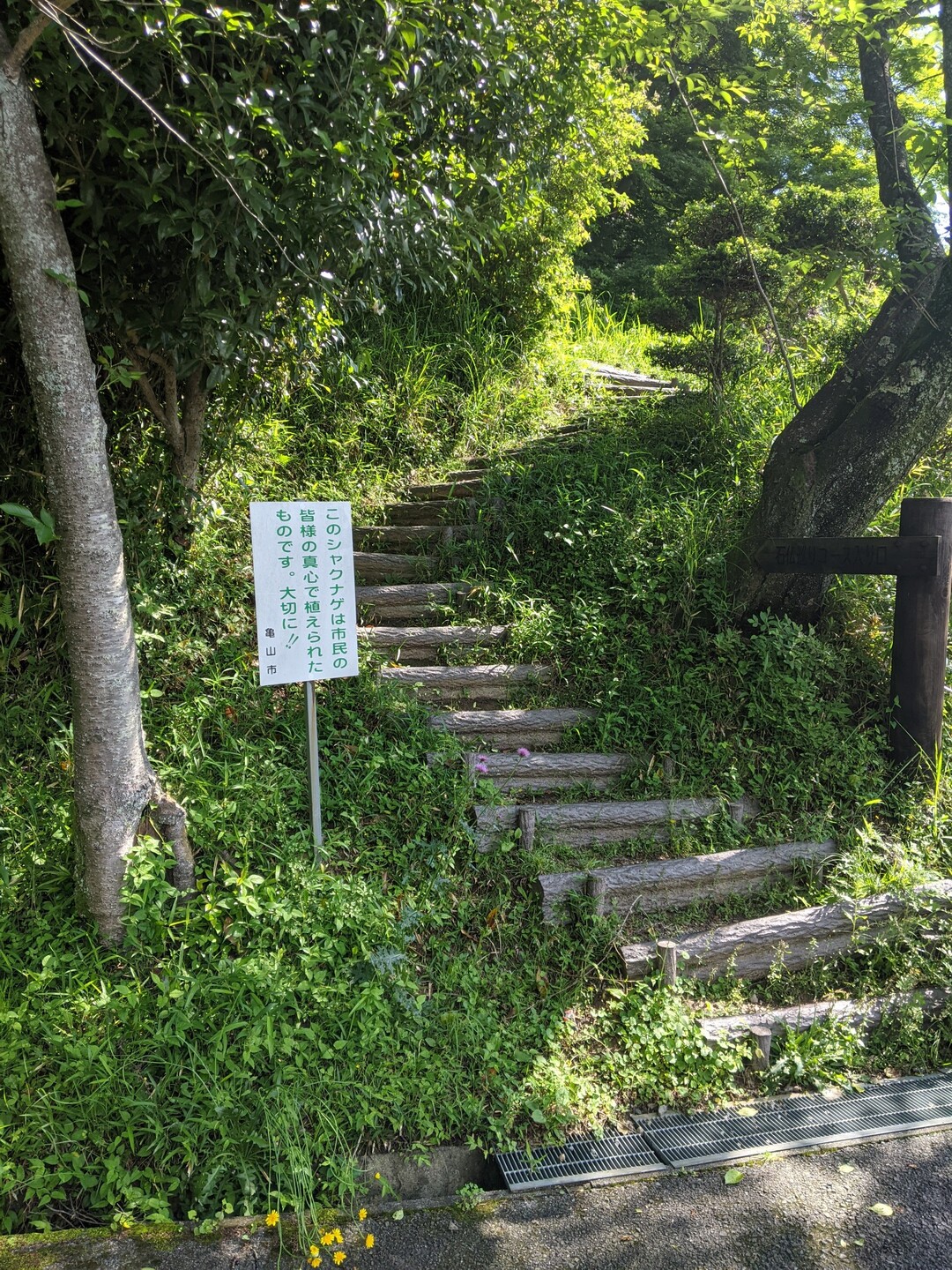 2021.05.23(日) 07:31 / GAROさんのモーメント | YAMAP / ヤマップ