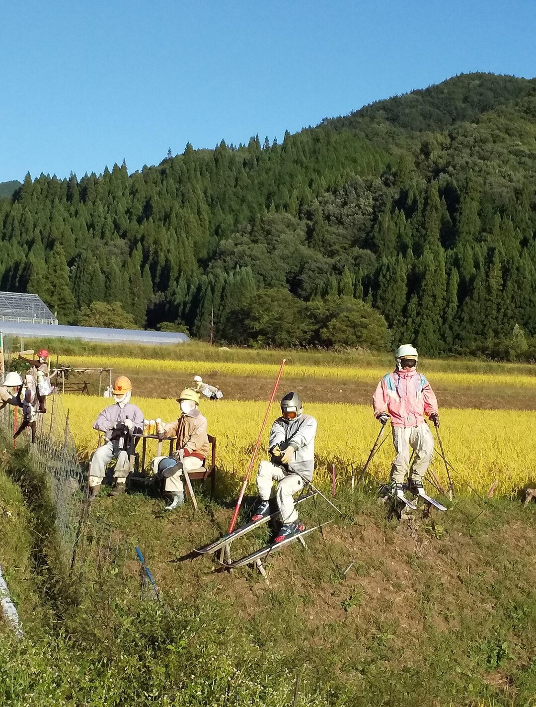 秋の陽射しを浴びるカカシたち。スキーヤー... / nickさんのモーメント | YAMAP / ヤマップ