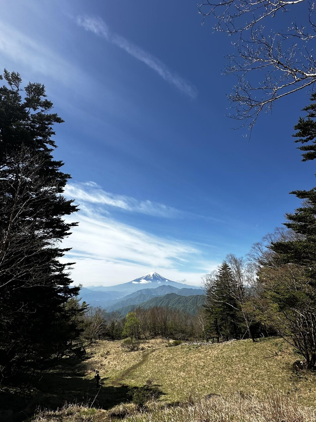 秀麗富嶽12景色 雁ヶ腹摺山 / ansoさんの大菩薩嶺・鶏冠山・大マテイ山の活動データ | YAMAP / ヤマップ