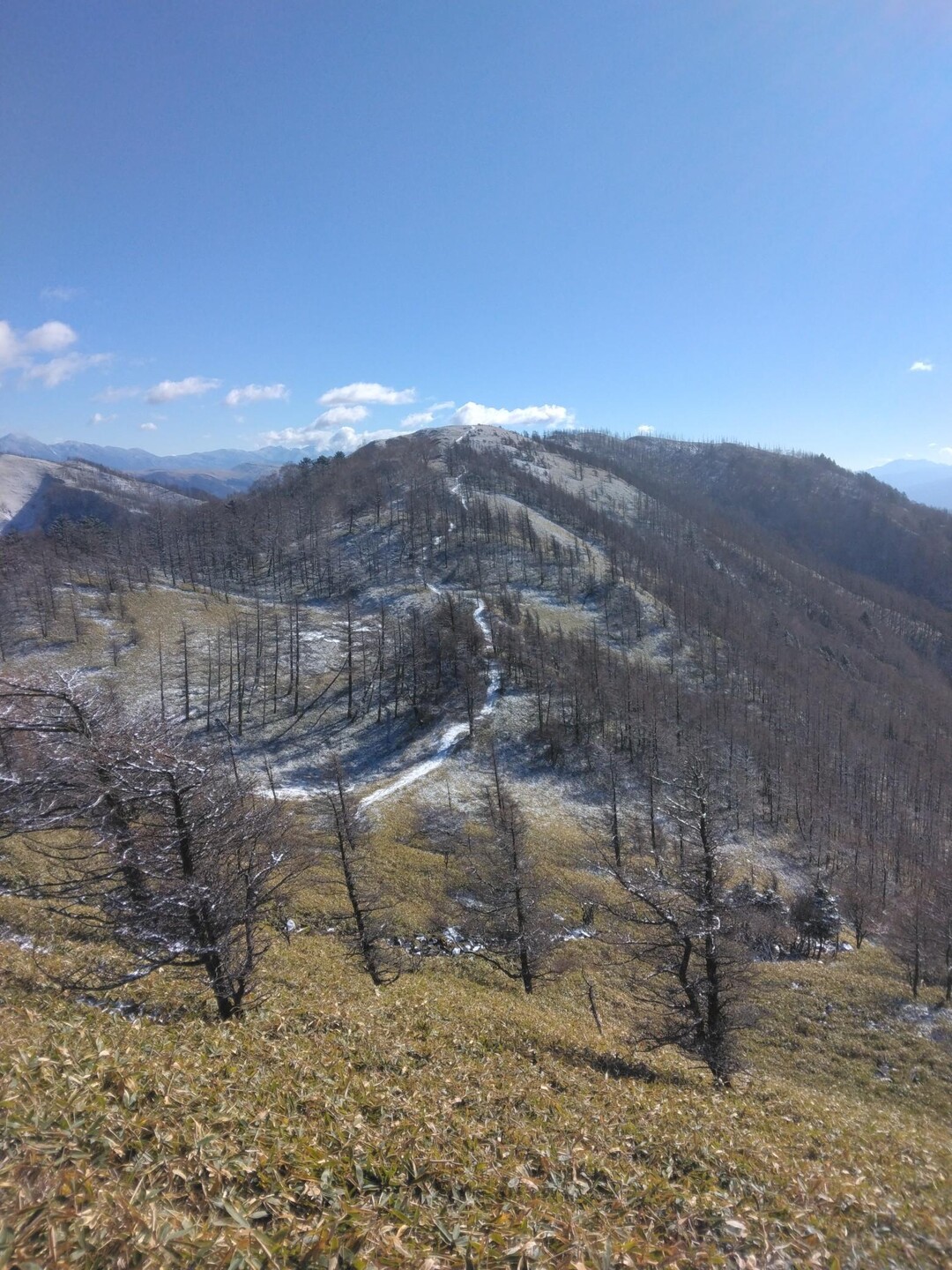 薄川源流の旅 金華山～鉢伏山～三峰山縦走 / KAI!さんの鉢伏山・高ボッチ山・三峰山の活動データ | YAMAP / ヤマップ
