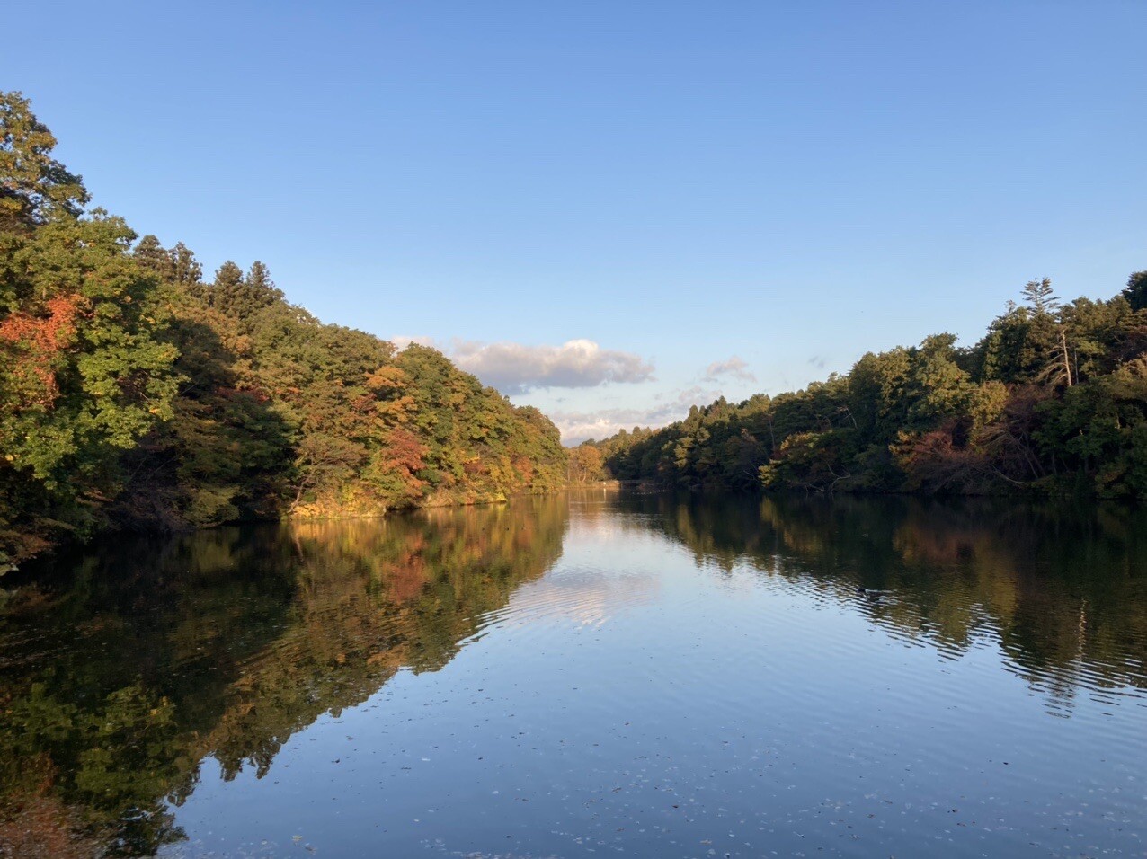 おはようございます。 今朝も雲の少ない... / OBsunさんのモーメント | YAMAP / ヤマップ