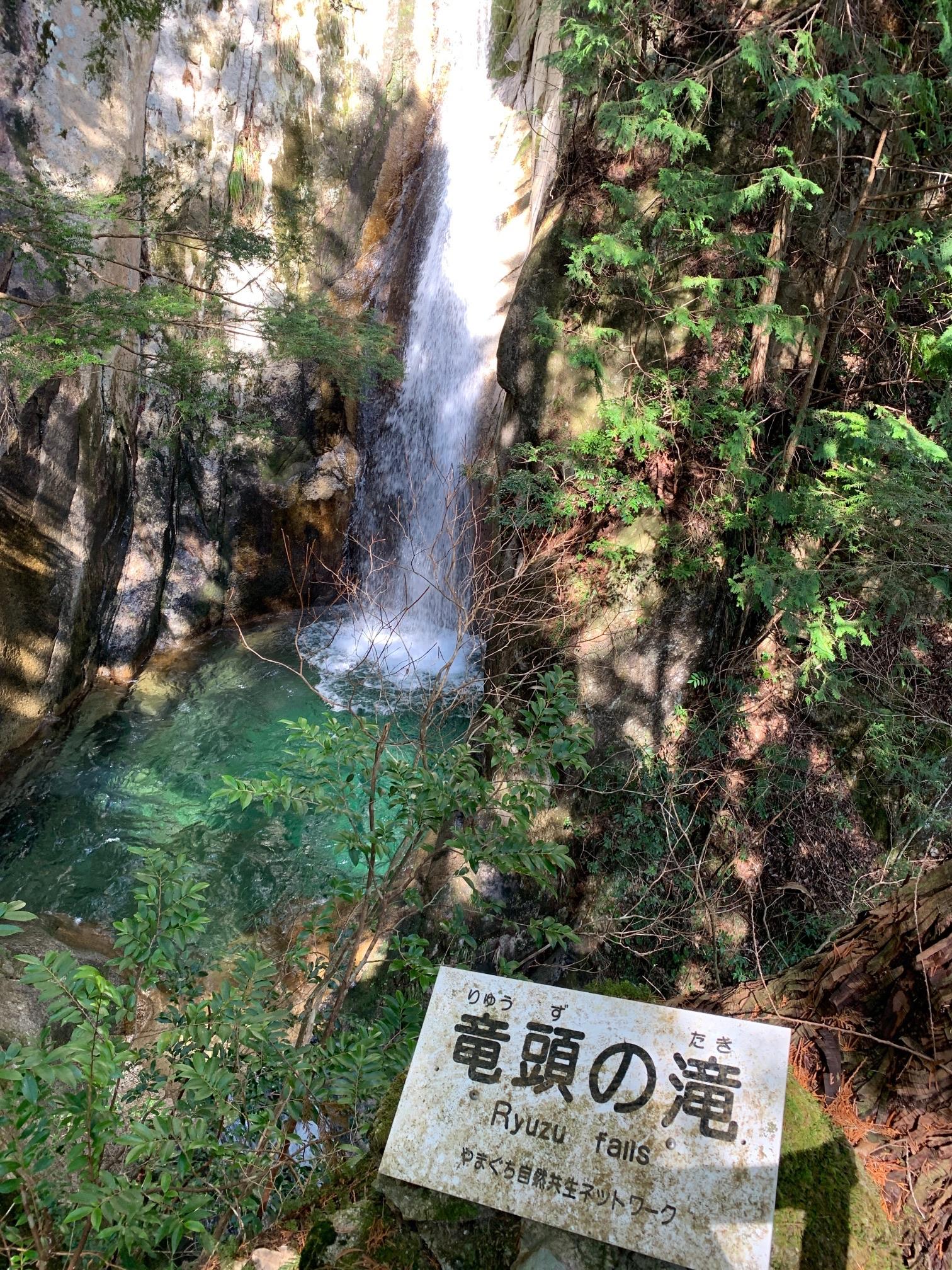 錦ヶ岳・右谷山 / masaikeさんの吉和冠山（安芸冠山）・広高山・寂地山の活動日記 | YAMAP / ヤマップ