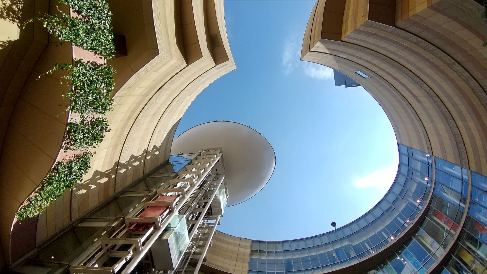 「すっかり“田舎もん”！」 お気に入りの... / Howardさんのモーメント | YAMAP / ヤマップ