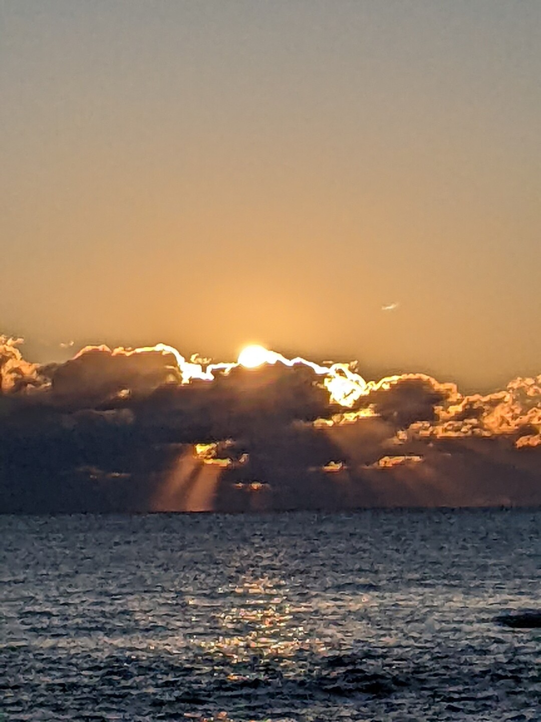 あけましておめでとうございます。😂😂... / gomaさんのモーメント | YAMAP / ヤマップ