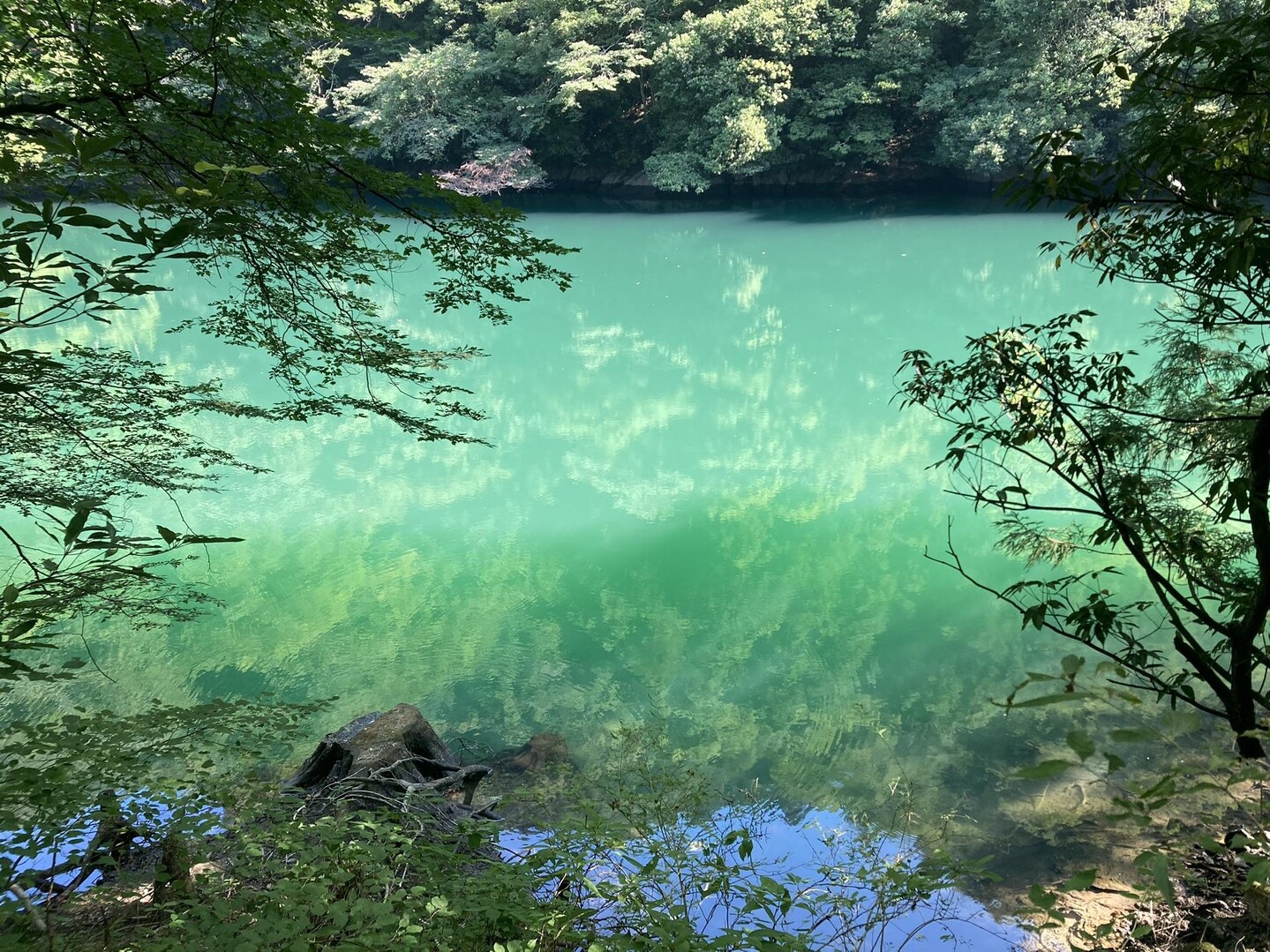 鳩ノ巣渓谷 / kinoさんの大岳山・御岳山・御前山の活動データ | YAMAP / ヤマップ