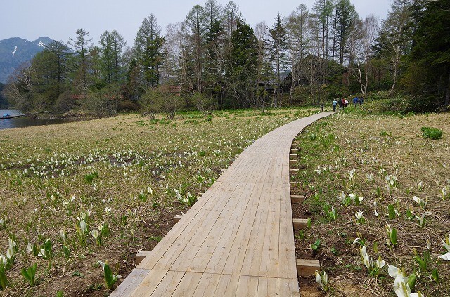 尾瀬（1日目） / MEさんの尾瀬・燧ヶ岳の活動データ | YAMAP / ヤマップ