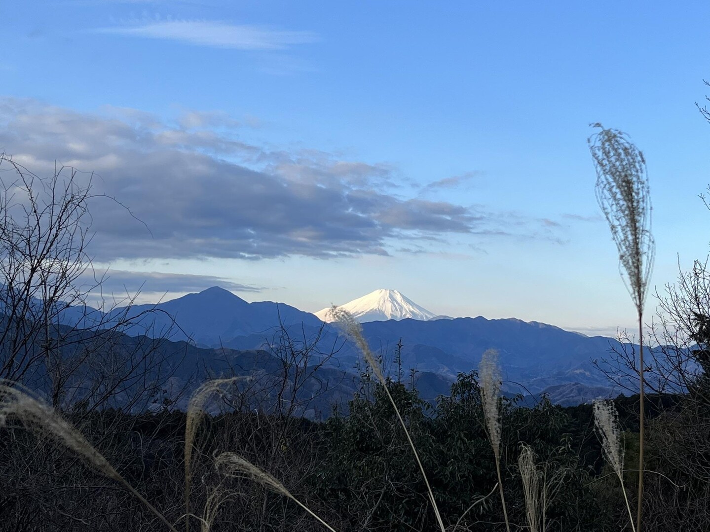 高尾山⇆陣馬山、下山後のホッピ〜 / Telemacさんのモーメント | YAMAP / ヤマップ