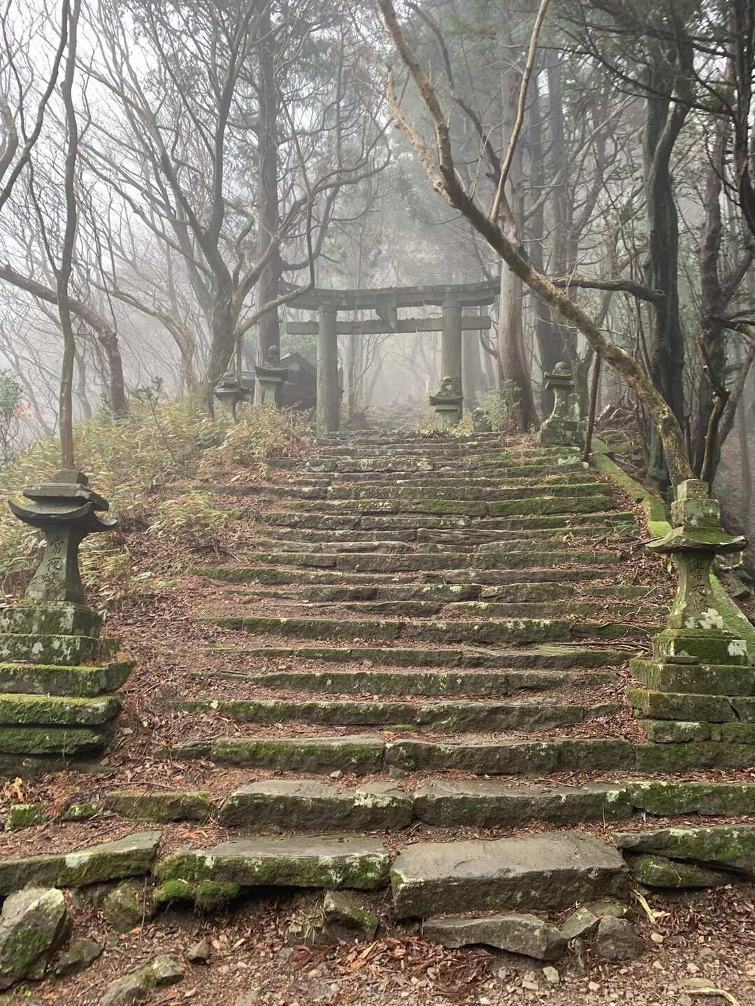 西岳・国見岳・多良岳・前岳 / ko-jiさんの多良岳・経ヶ岳・五家原岳の活動データ | YAMAP / ヤマップ