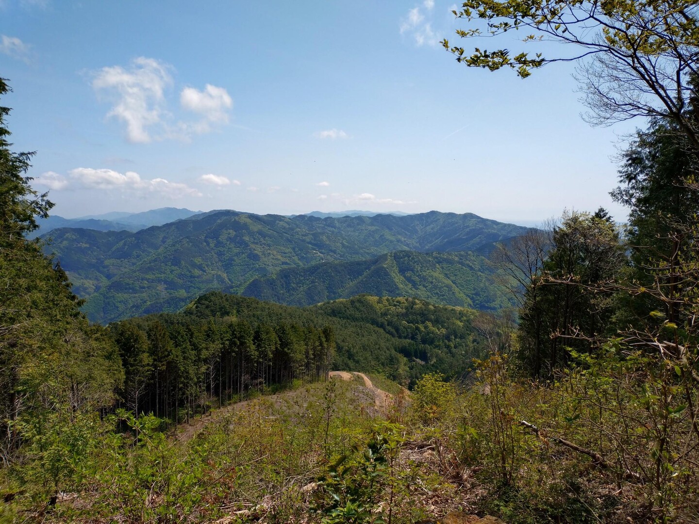竜王山（讃岐竜王）・竜王山（阿波竜王）・鷹林山 / ya.junさんの竜王山（讃岐山脈）・大川山の活動データ | YAMAP / ヤマップ