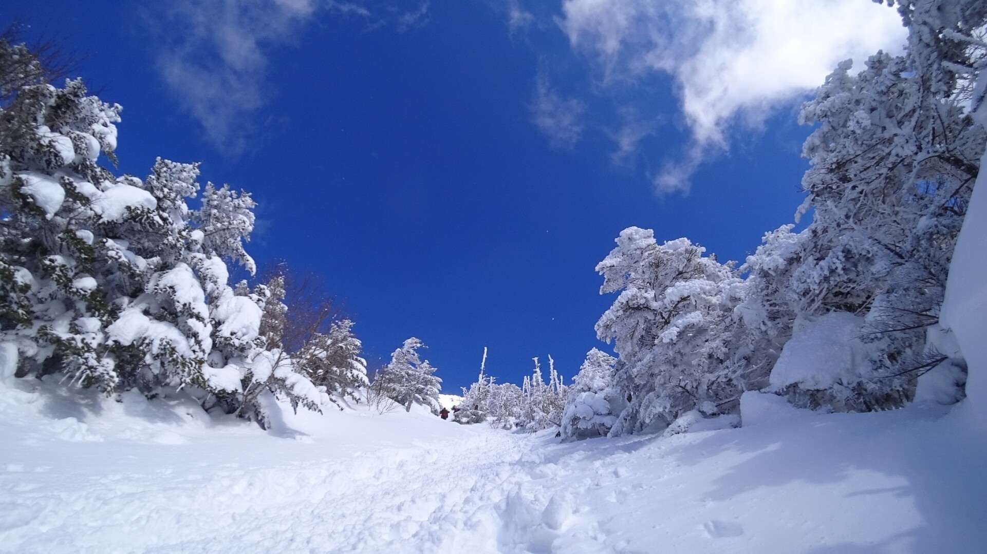 本日は晴天なり！蓼科山 / K1_Yuukiさんの蓼科山・横岳・縞枯山の活動データ | YAMAP / ヤマップ