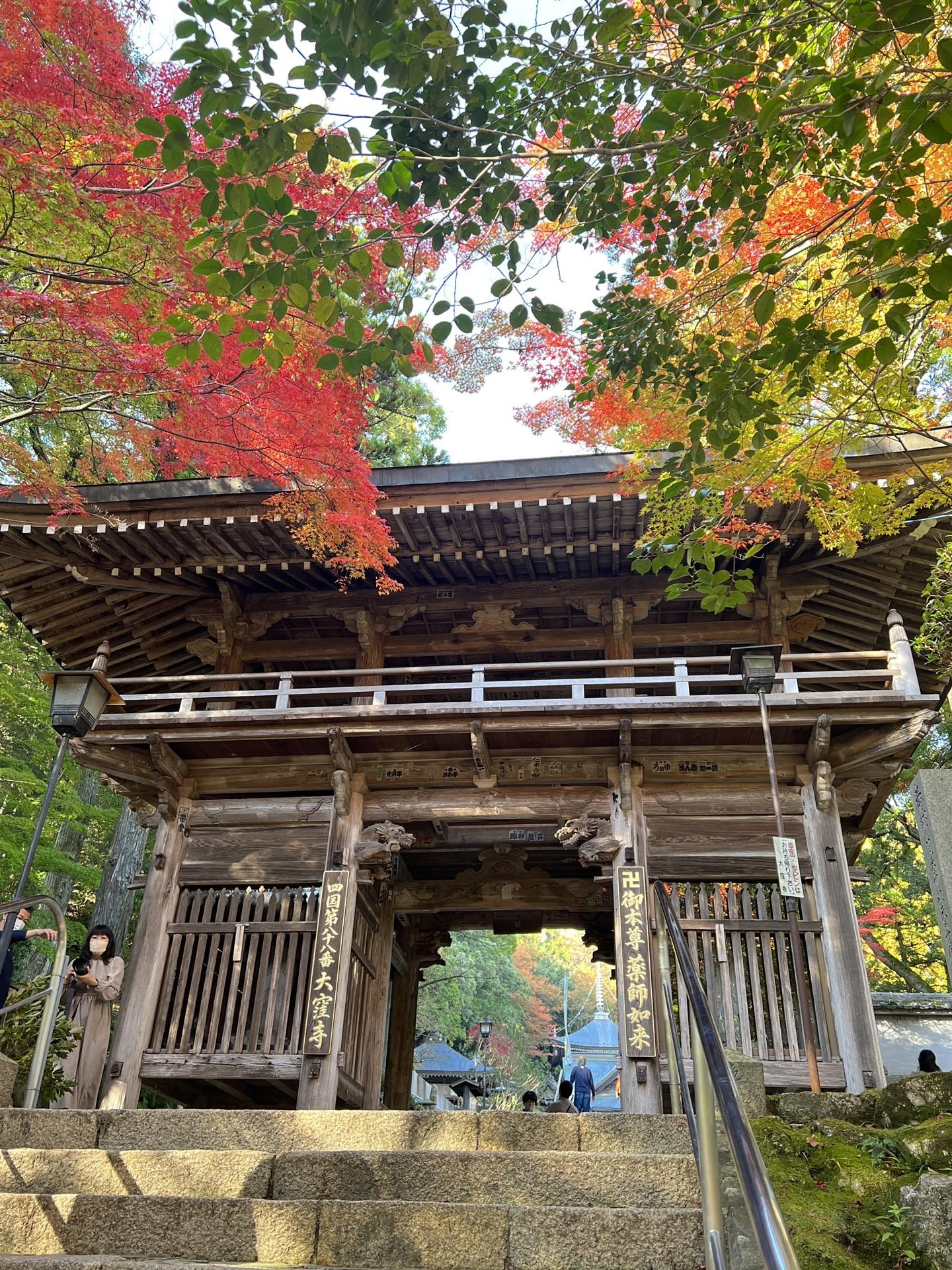 またまた車 de 遍路 / Rincoさんの矢筈山・女体山の活動データ | YAMAP / ヤマップ