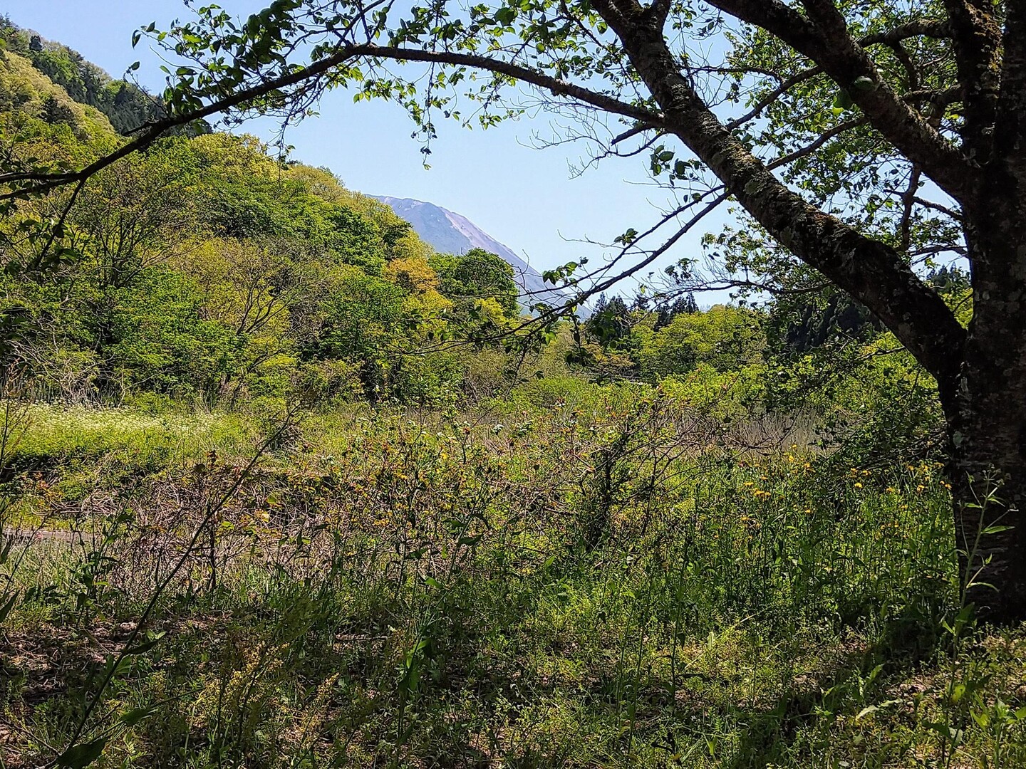 夜勤明け。眠たいけどGW気分に浸りたい。... / akkieさんのモーメント | YAMAP / ヤマップ