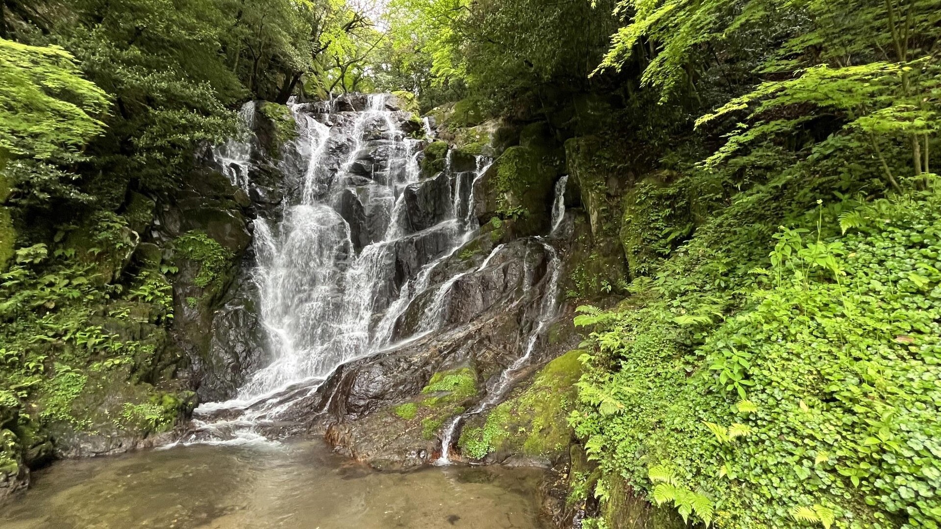 獅子舞岳・羽金山 / jan4422さんの雷山・井原山の活動データ | YAMAP / ヤマップ