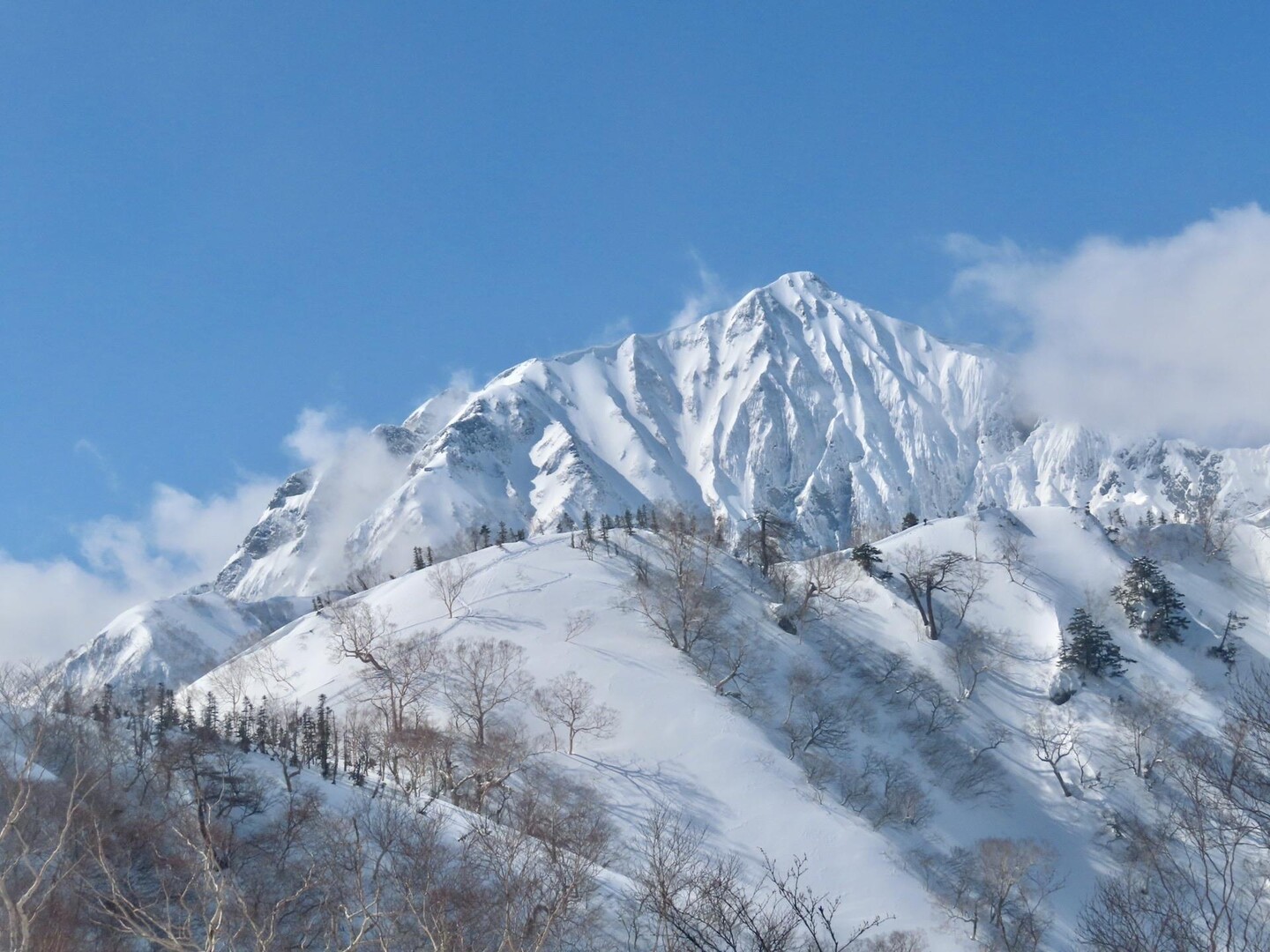 武田菱と鹿島槍ヶ岳を眺めに遠見尾根へ / asimkさんの鹿島槍ヶ岳・五竜岳（五龍岳）・唐松岳の活動データ | YAMAP / ヤマップ