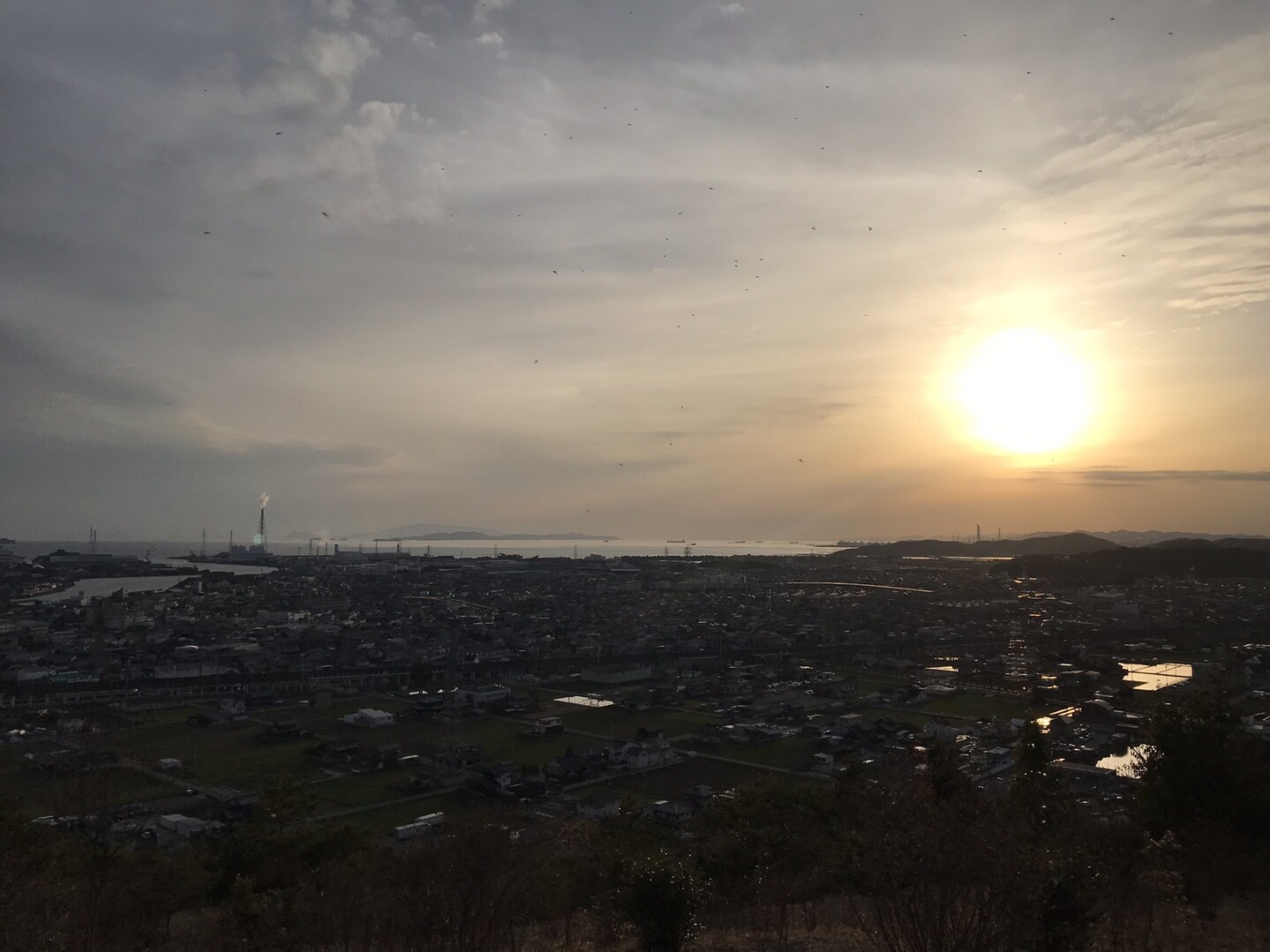 仕事終わりに裏山へ / mimozaさんのモーメント | YAMAP / ヤマップ