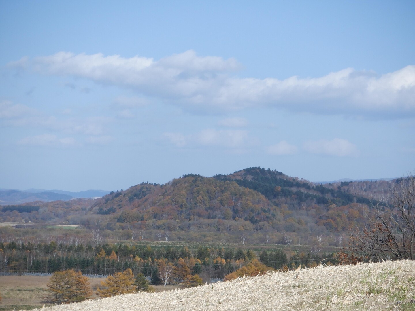 クンネシリ山 / sapさんの天塩川の活動データ | YAMAP / ヤマップ