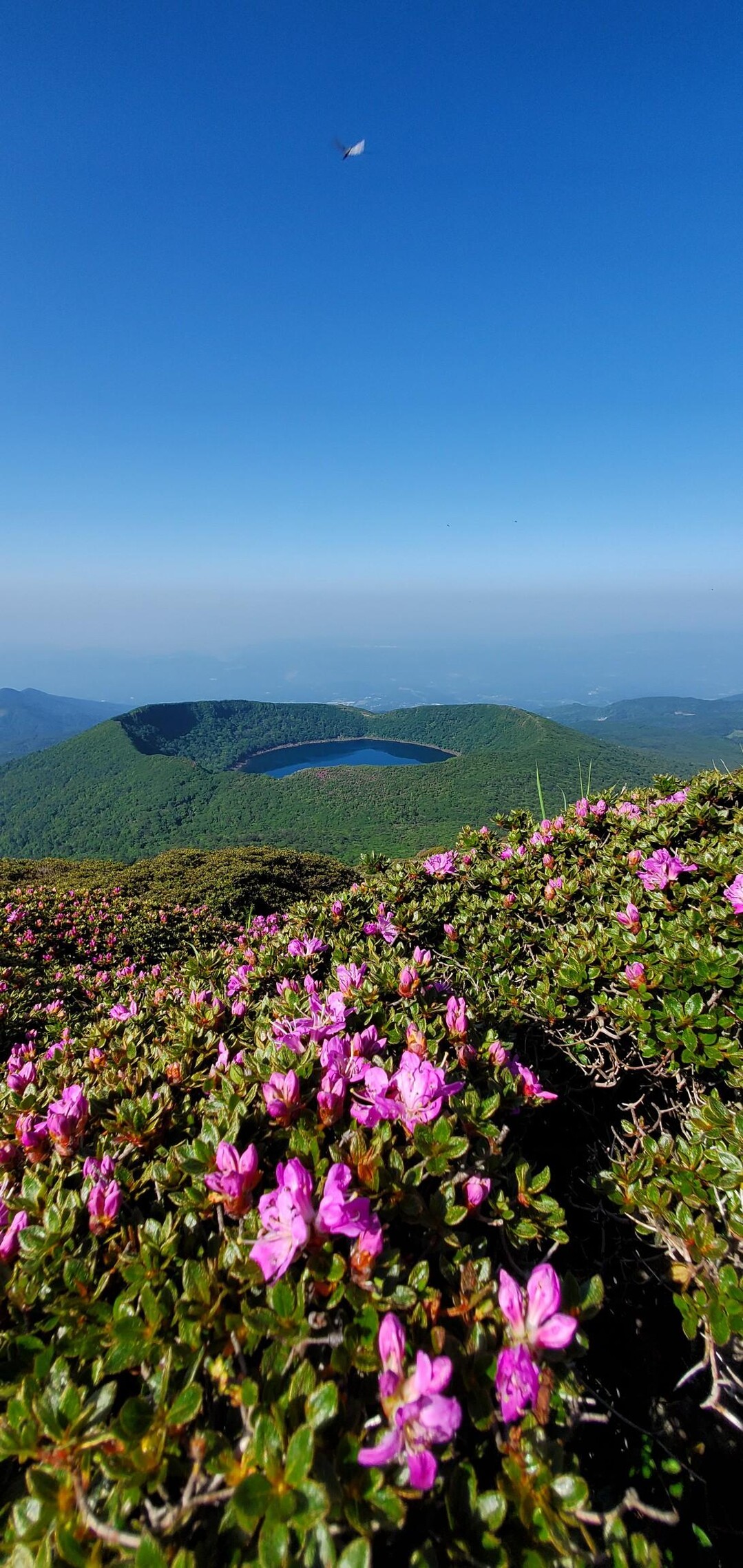 韓国岳（霧島山） / cocoさんの霧島山・韓国岳・高千穂峰・夷守岳・烏帽子岳の活動データ | YAMAP / ヤマップ