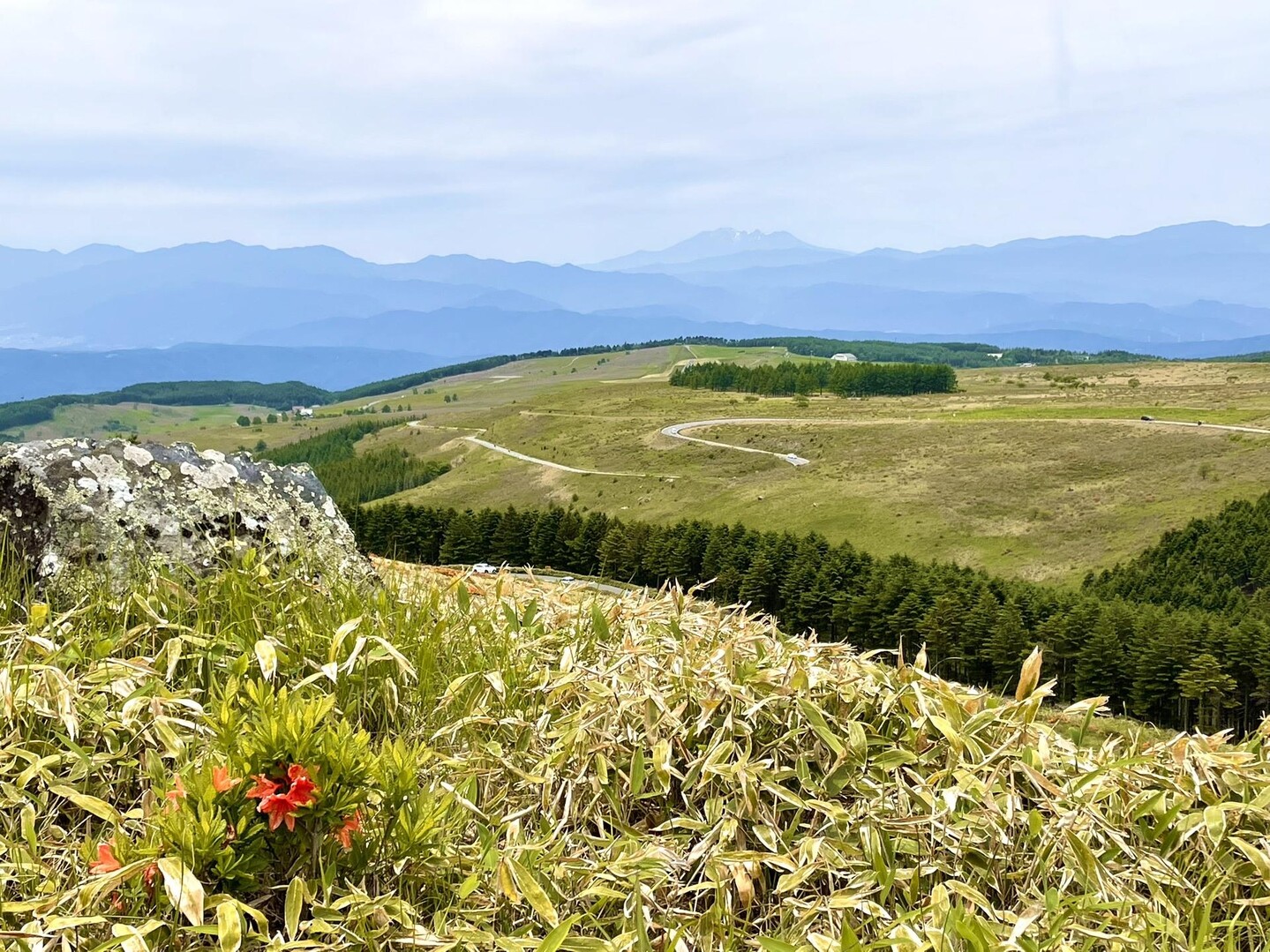 車山高原🌺 / sayo_hseさんの霧ヶ峰・車山・大笹峰の活動データ | YAMAP / ヤマップ