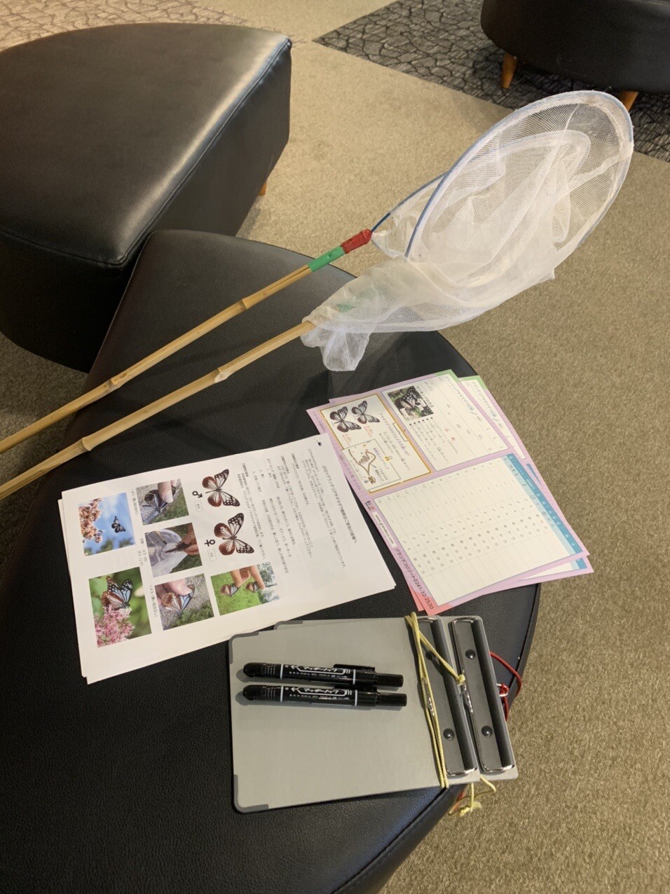 やっぱ行きます / めんめさんのモーメント | YAMAP / ヤマップ