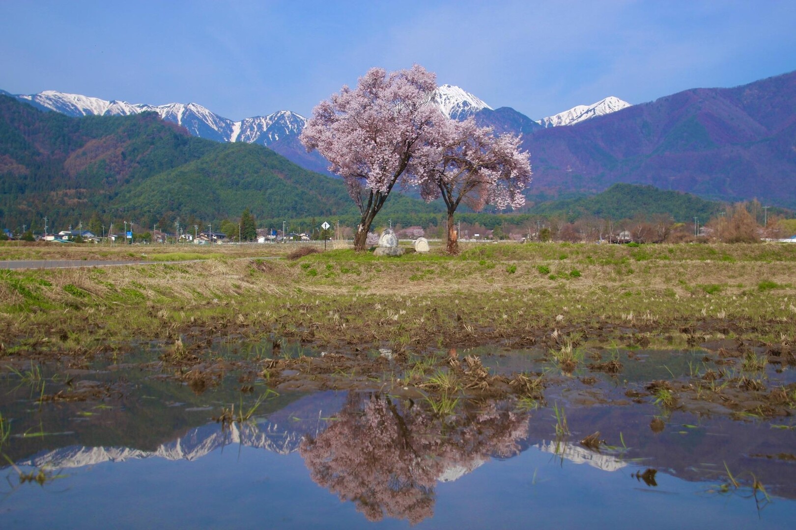 信州の春🌸 #常念道祖神 #常念岳 #... / kazu51さんのモーメント | YAMAP / ヤマップ