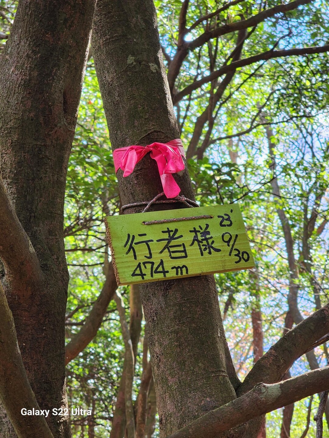 高山・行者様 / tomo 🔰さんの高山・行者様の活動日記 | YAMAP / ヤマップ