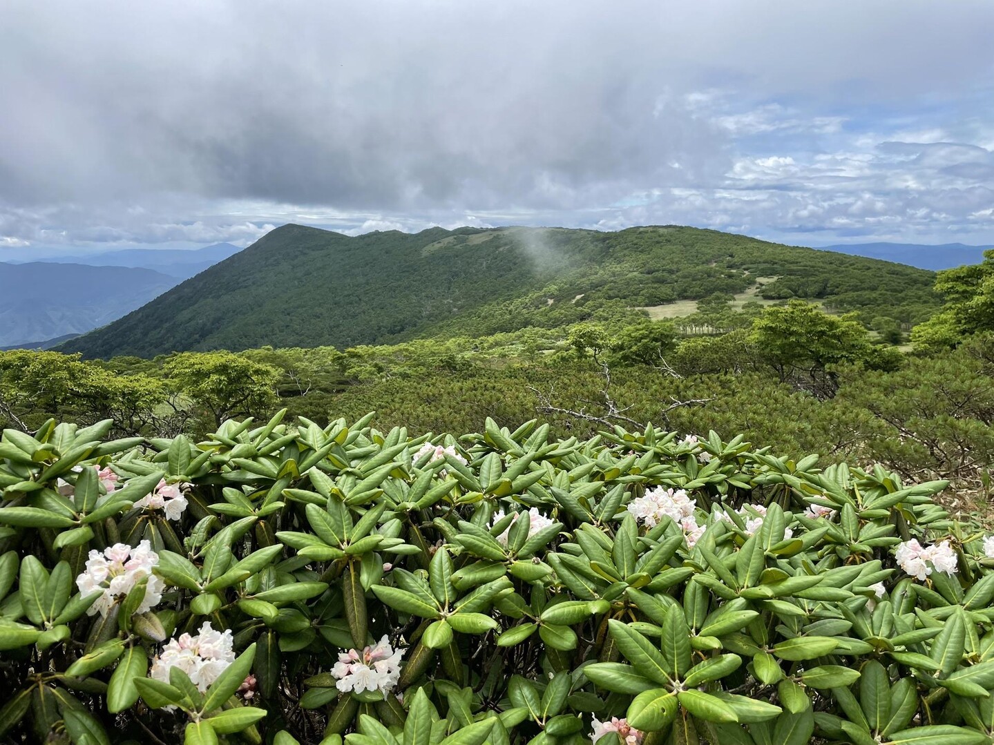 五葉山(桧山コース) / Ku-2さんの五葉山・愛染山の活動日記 | YAMAP / ヤマップ