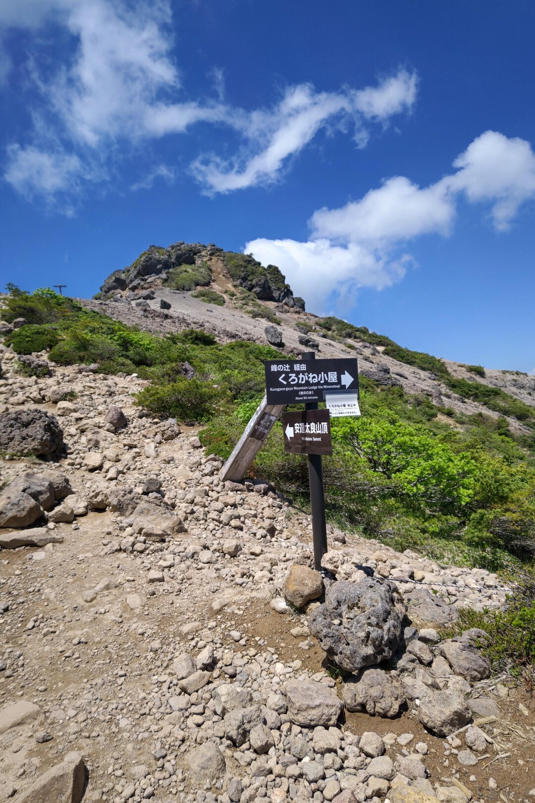 Hectorさんの投稿したフィールドメモ | YAMAP / ヤマップ