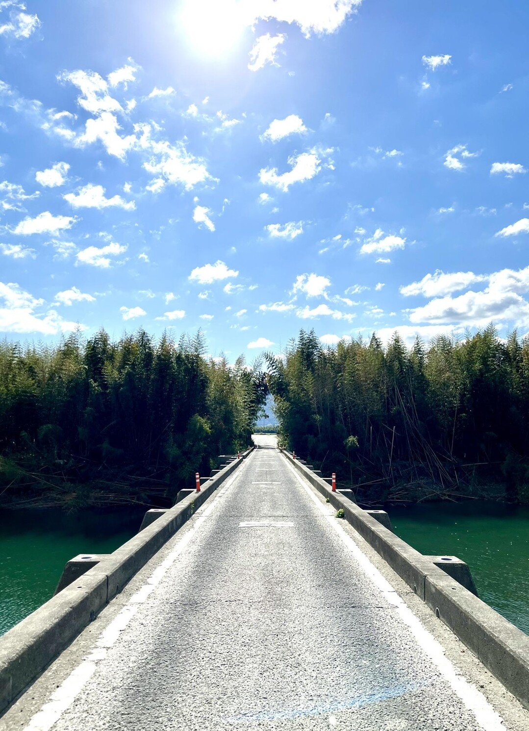 四国遍路③ 九番〜十一番札所 / RUBYさんの四国遍路その1の活動データ | YAMAP / ヤマップ