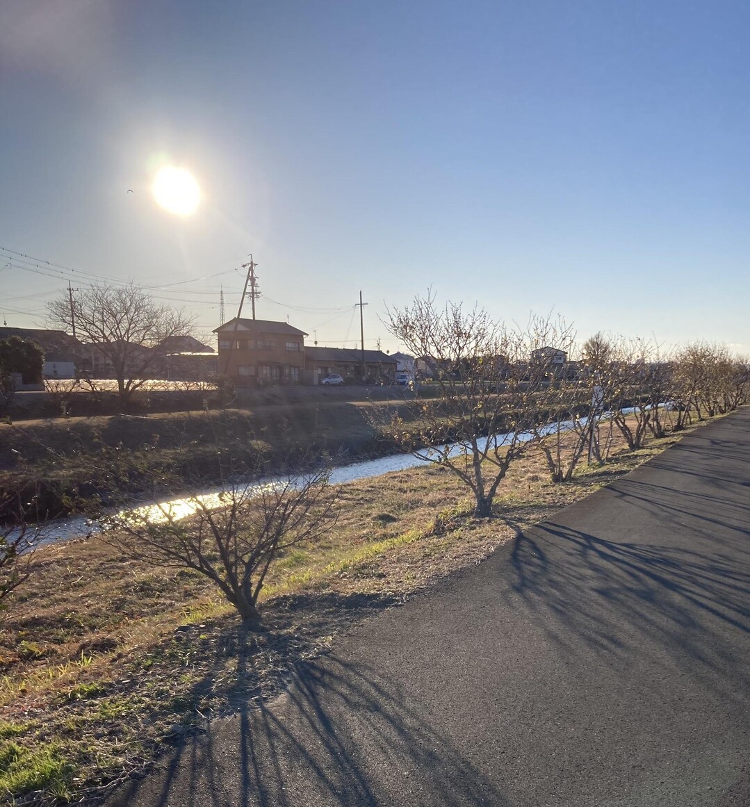 いつものランニングコース ロウバイが咲き... / Ken24g3さんのモーメント | YAMAP / ヤマップ