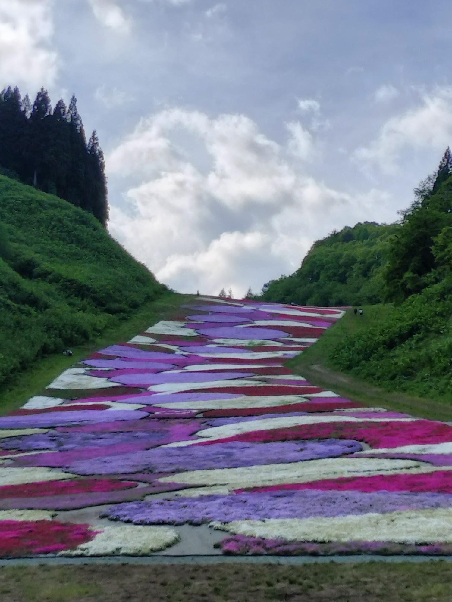 十和田.奥入瀬.焼山 / uさんのモーメント | YAMAP / ヤマップ