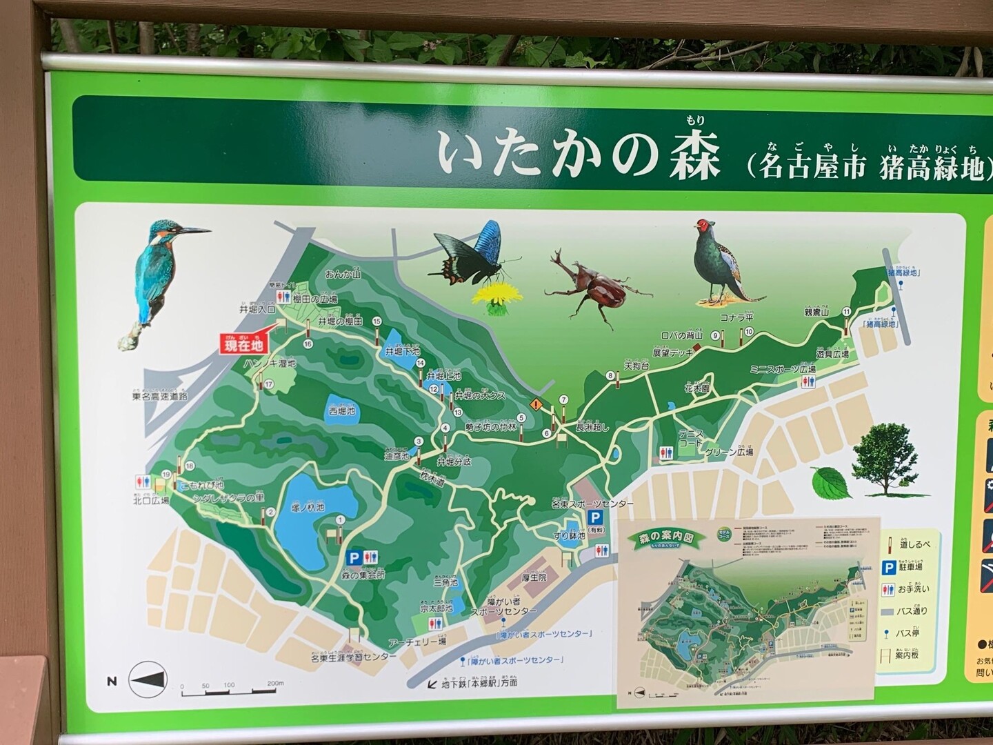 ガンガンズさんの投稿したフィールドメモ | YAMAP / ヤマップ