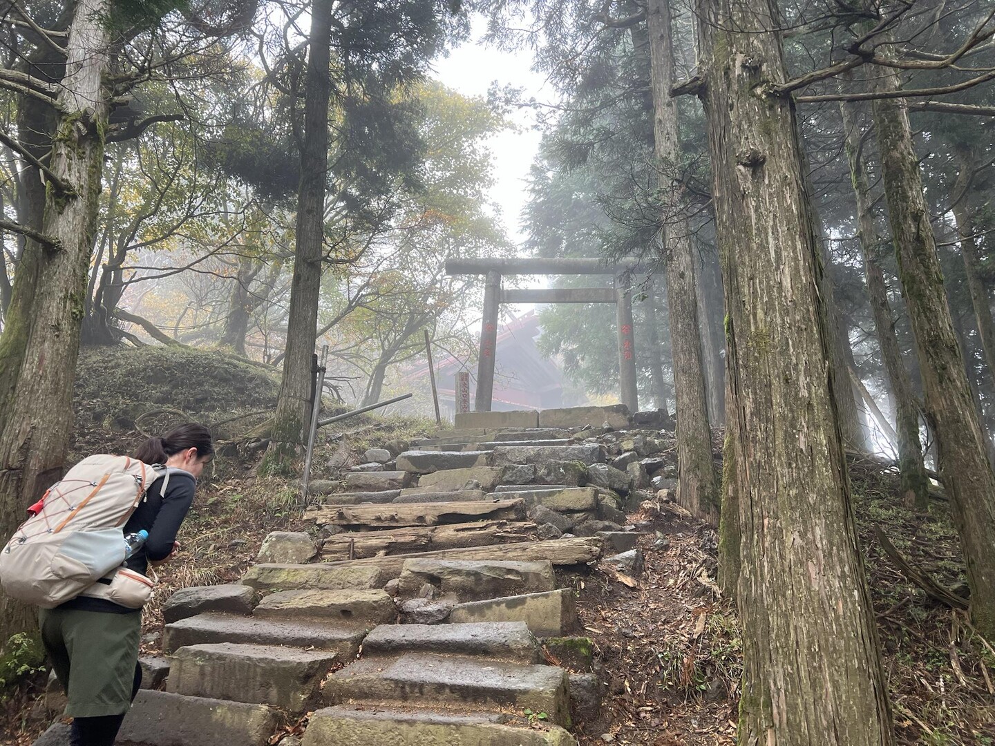 蓑毛→ヤビツ峠→大山 / SK-MATさんの大山の活動データ | YAMAP / ヤマップ