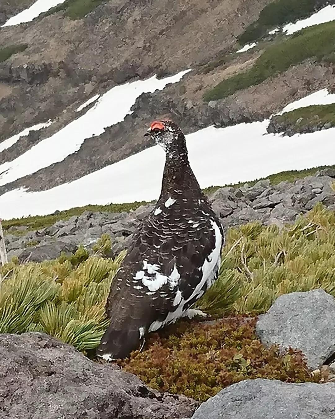 Kのページ | YAMAP / ヤマップ