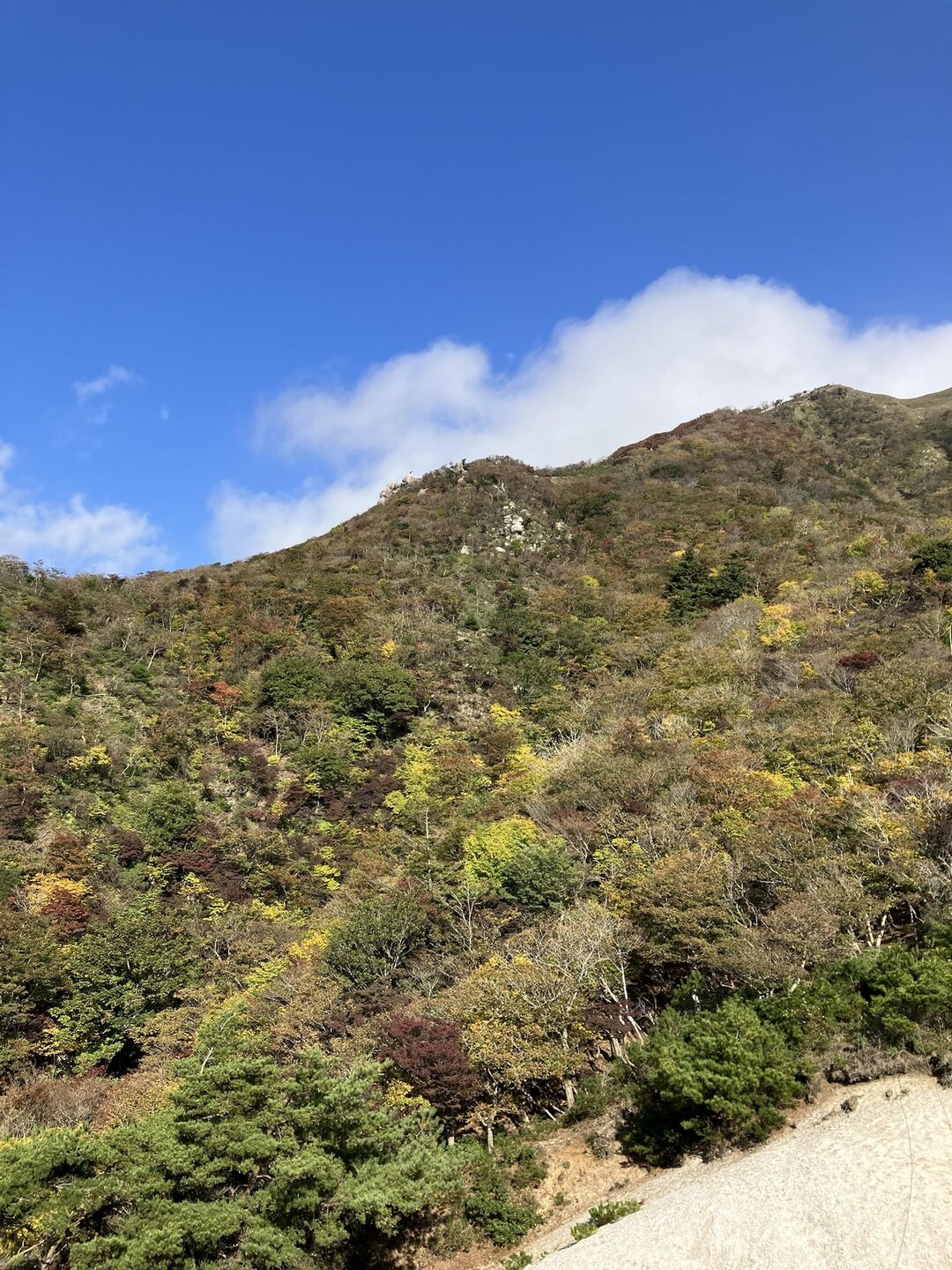 竜ヶ岳 / K-TAさんの竜ヶ岳の活動日記 | YAMAP / ヤマップ