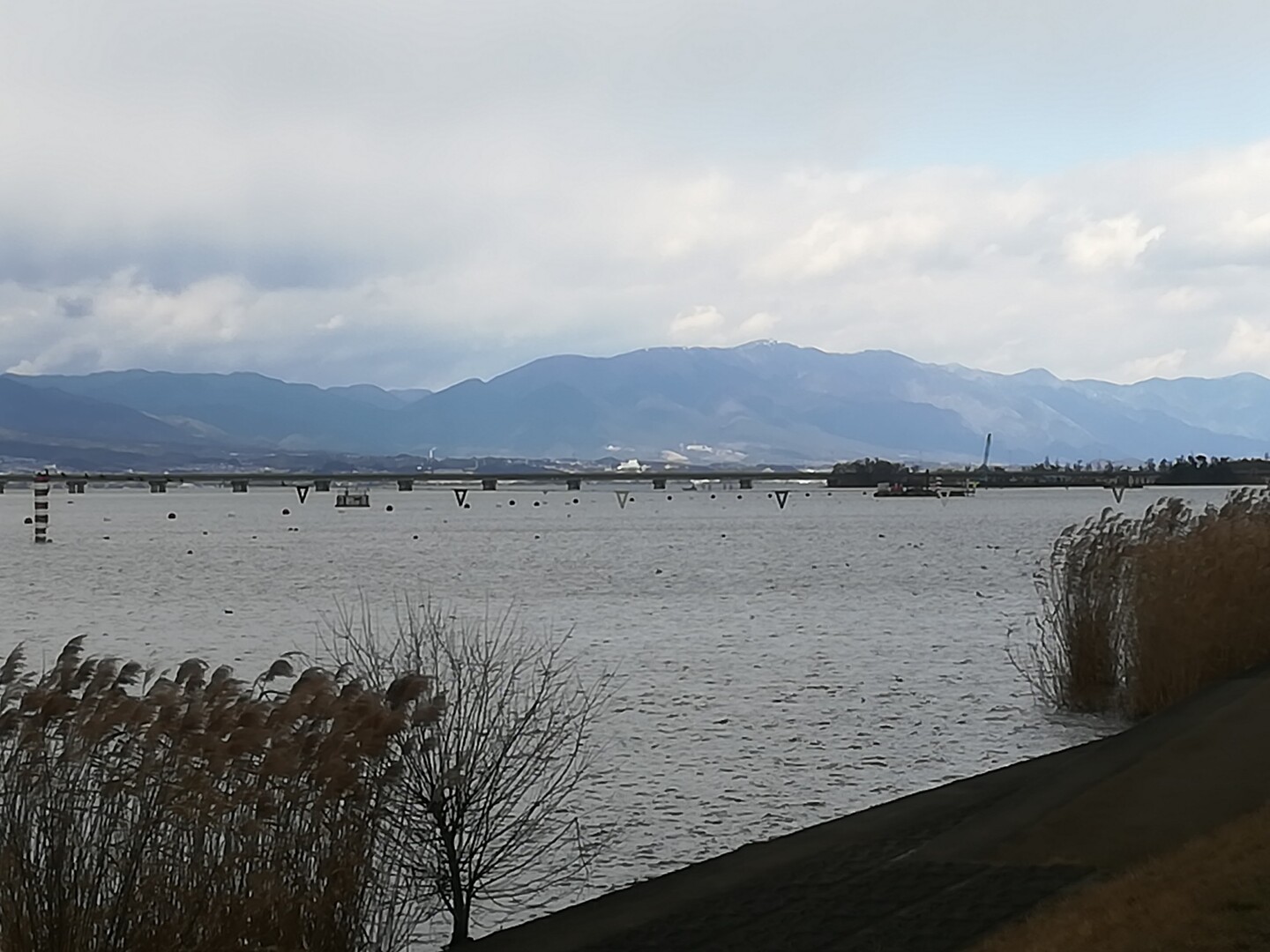 唐橋〜近江大橋周回ジョグ💨2020-02-17 / damens さんの大津市の活動データ | YAMAP / ヤマップ