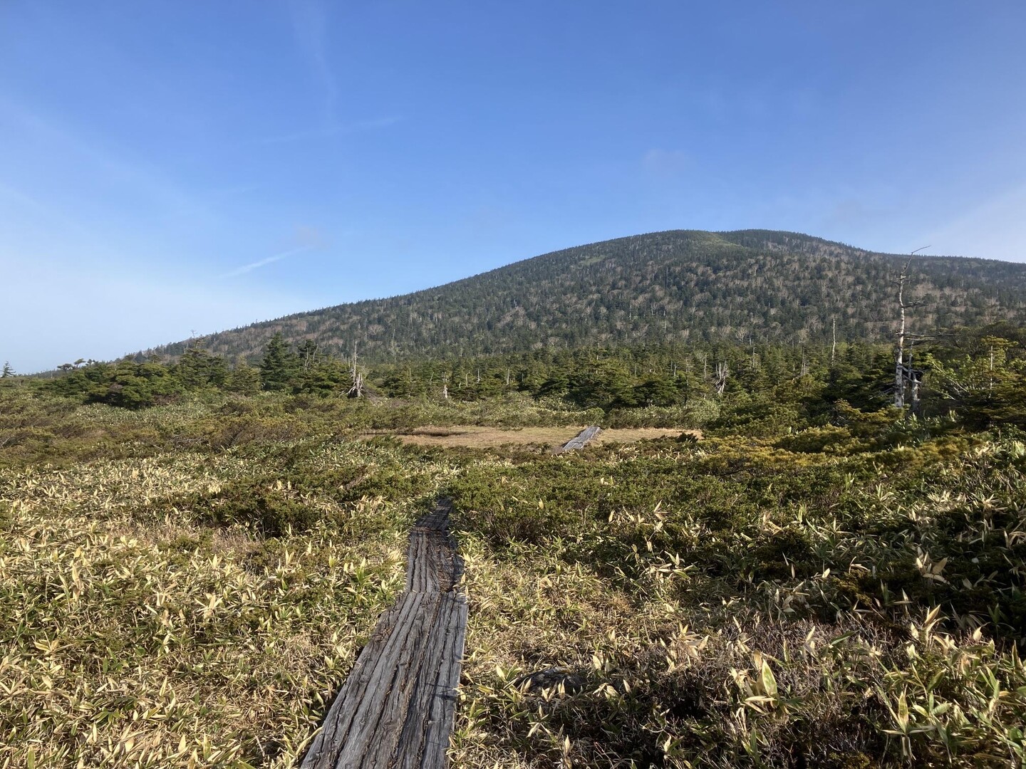 東吾妻山 - 北からの帰り道 / aqさんの吾妻山・一切経山の活動日記 | YAMAP / ヤマップ