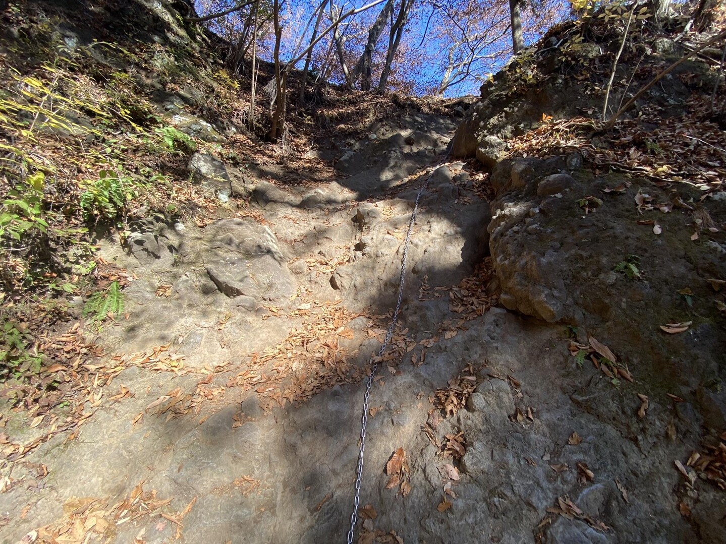 ひみさんの投稿したフィールドメモ | YAMAP / ヤマップ