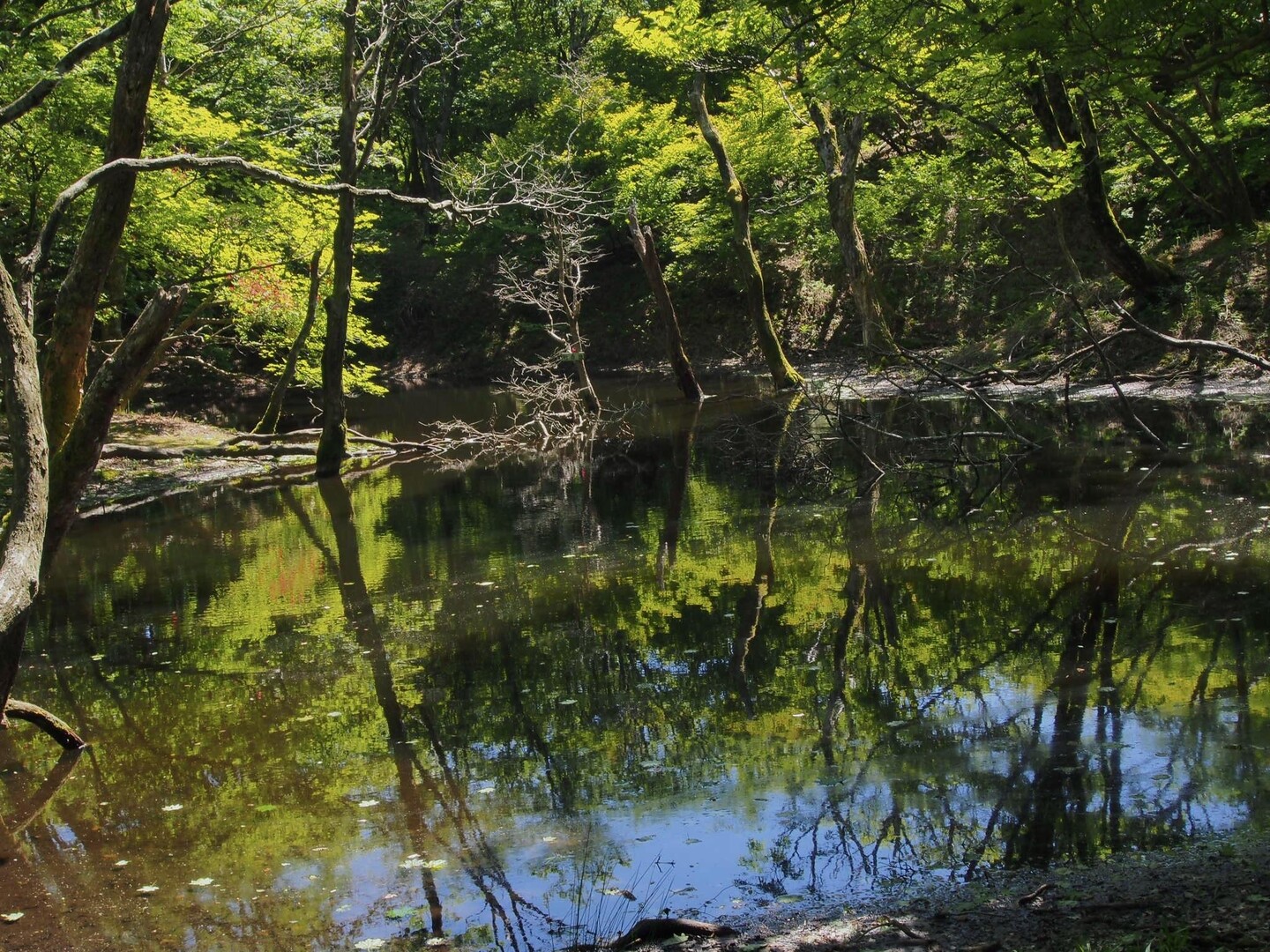 三池岳・北仙香山・仙香山 / s.naoさんの釈迦ヶ岳の活動データ | YAMAP / ヤマップ