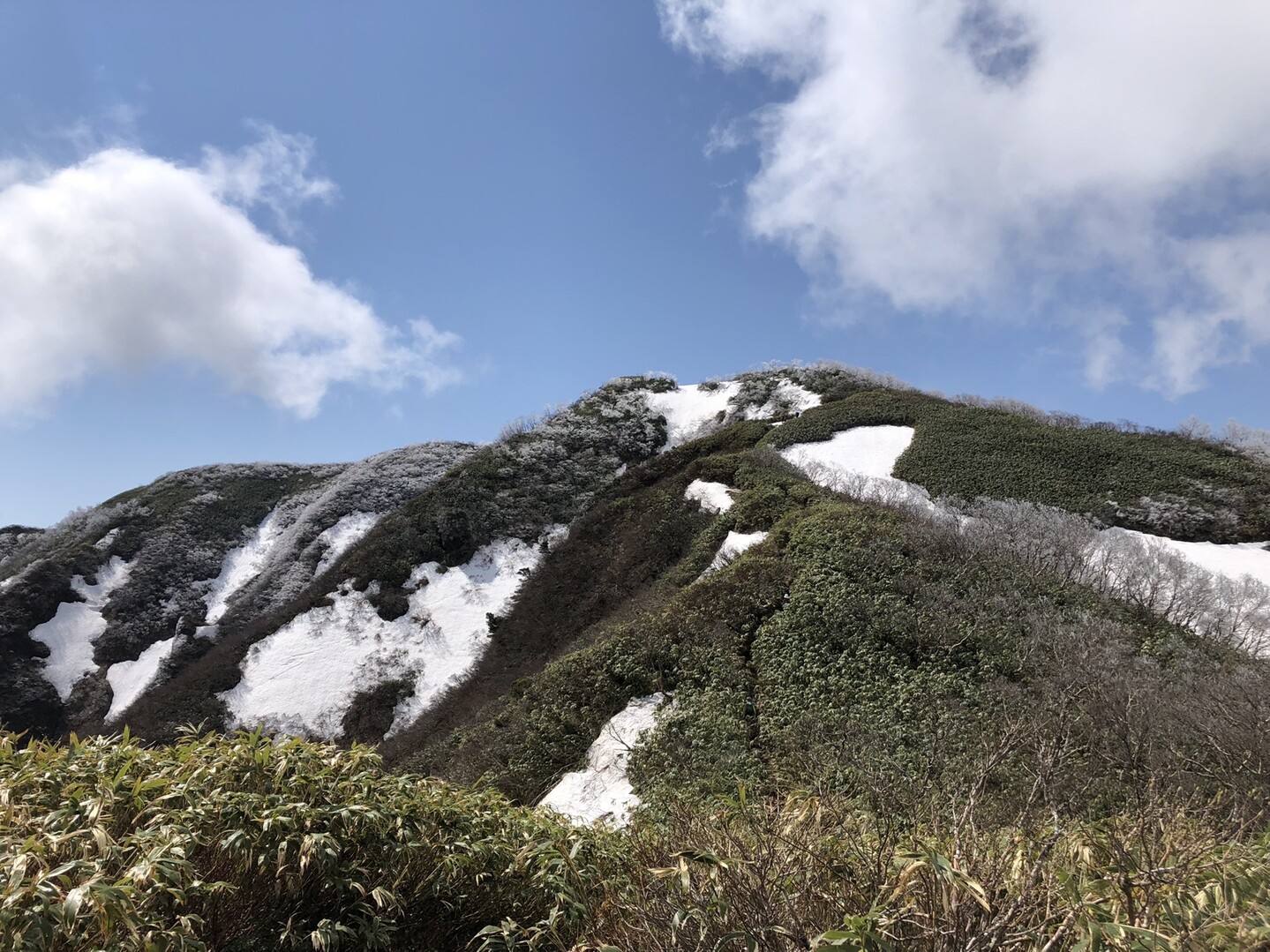 それぞれの山⛰荒島岳65/100 / BWさんの荒島岳の活動データ | YAMAP / ヤマップ