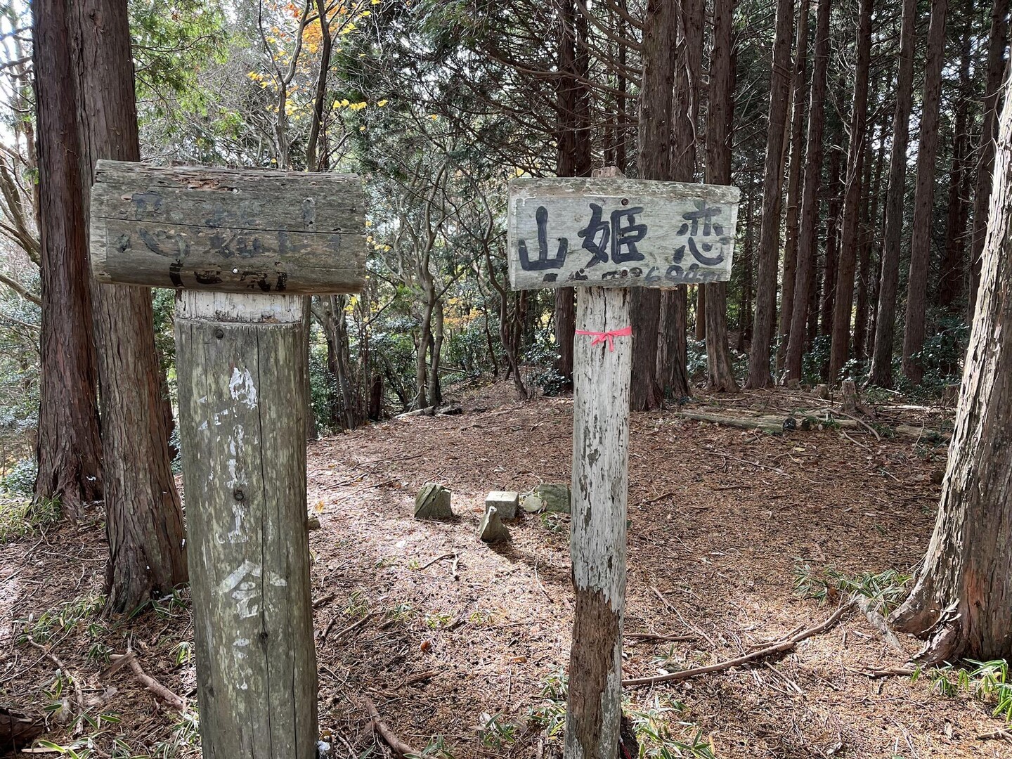 恋姫山 / fukapuさんの多度山・美濃松山・石津御嶽の活動データ | YAMAP / ヤマップ